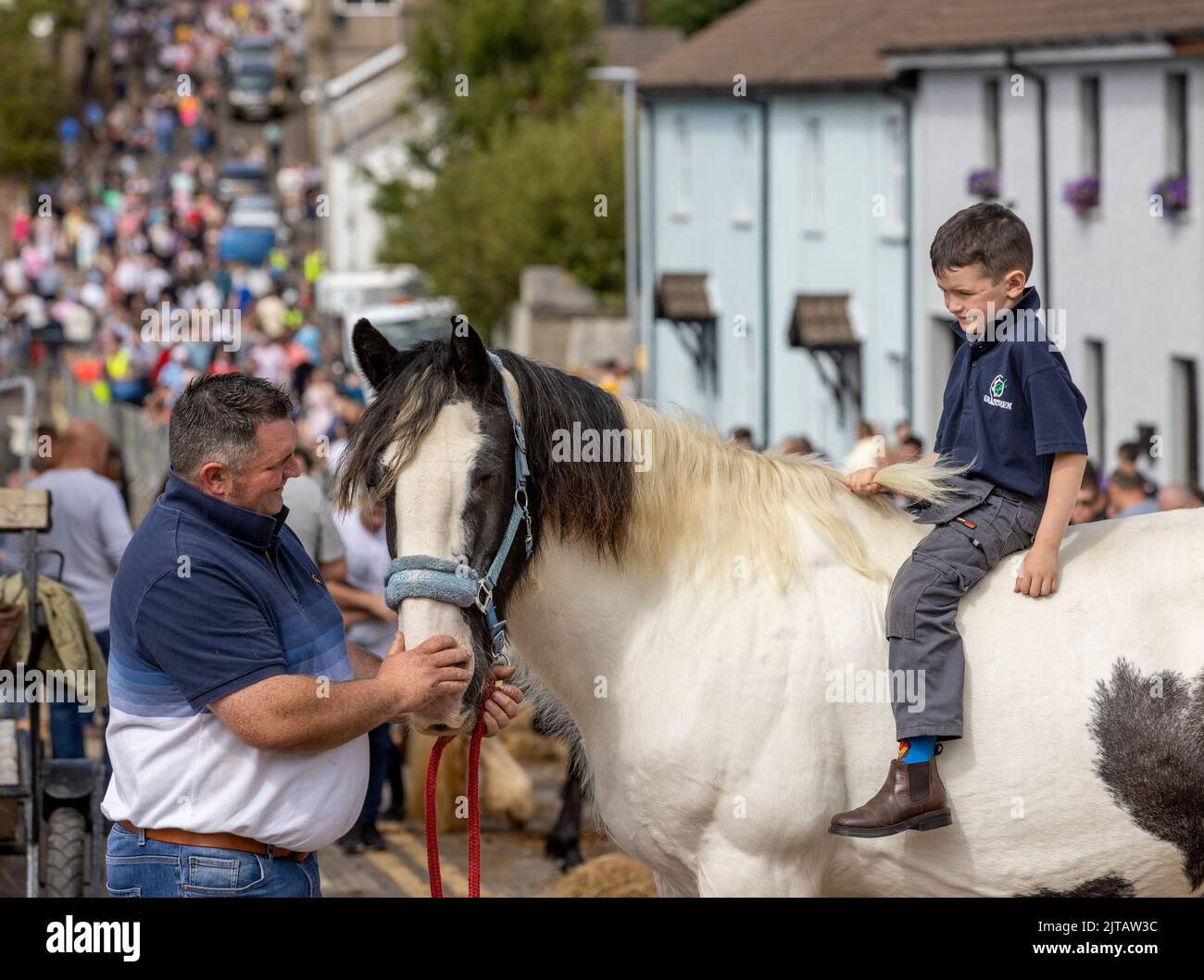 Brian McAteer pets Tiny Irish Cob with his son James, during the Ould ...