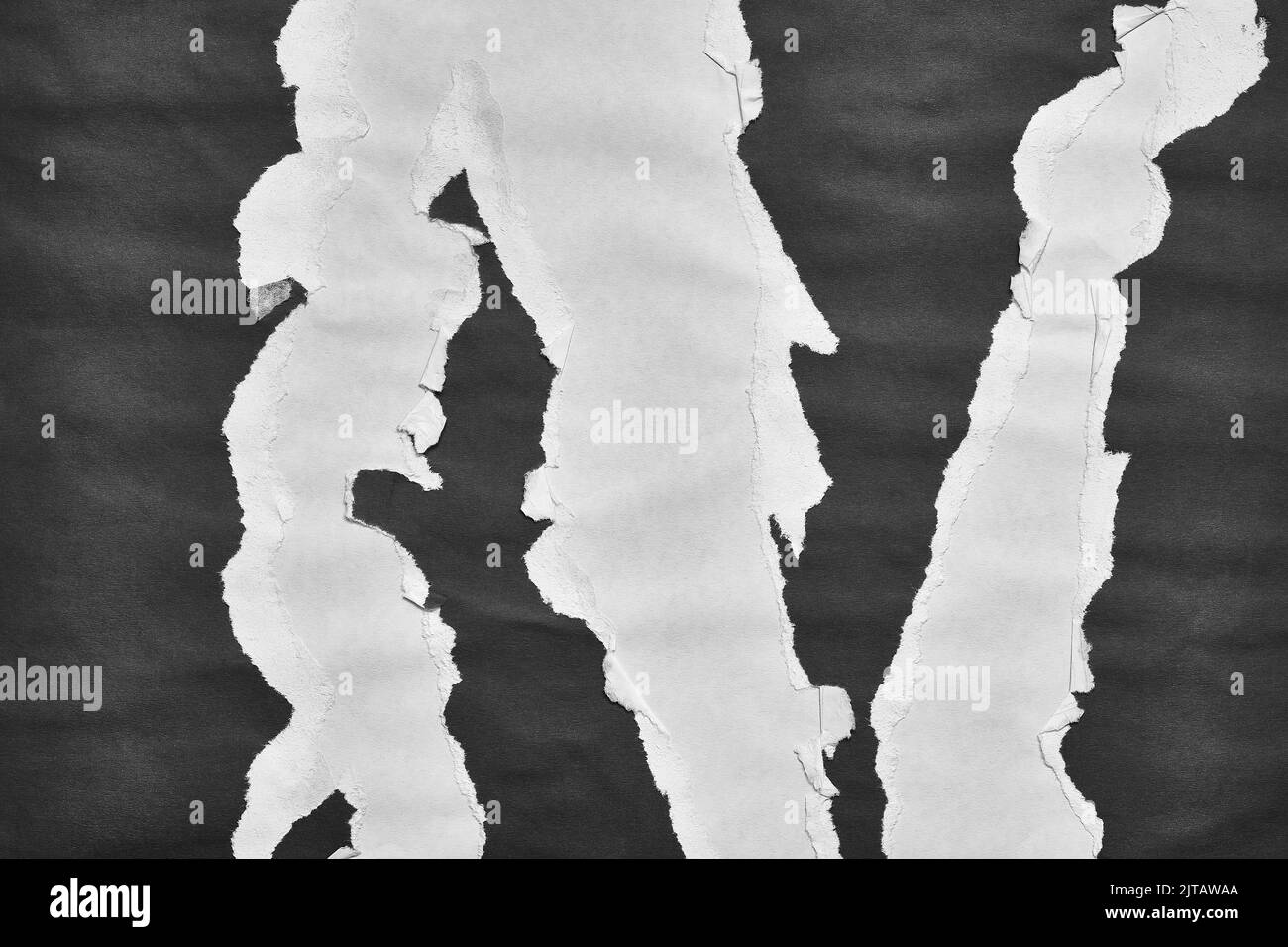 Black and White Torn Paper Collage Style, Ripped Paper Effect, Texture ...