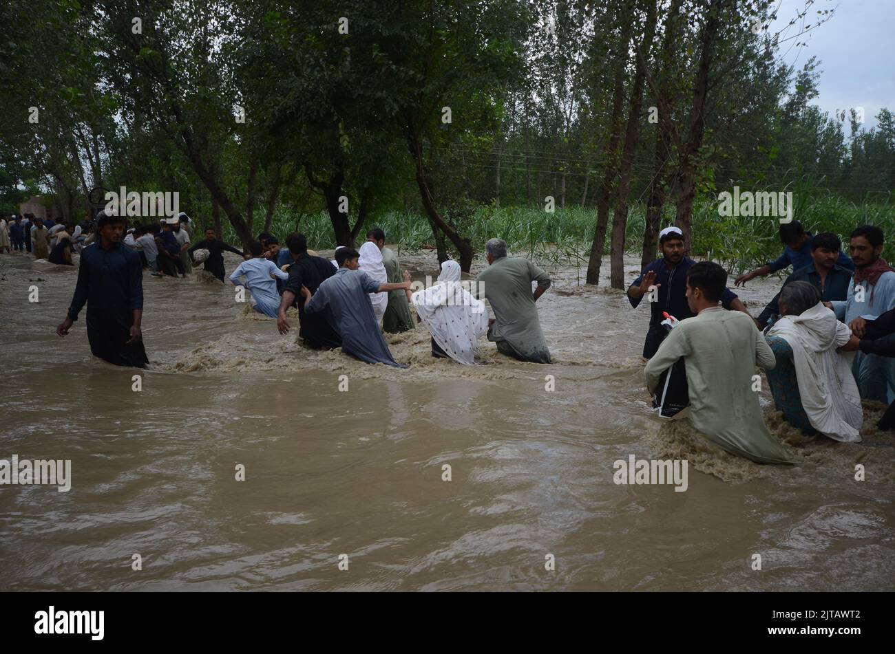 Peshawar, Pakistan. 26th Aug, 2022. Torrential rains and storms cause ...