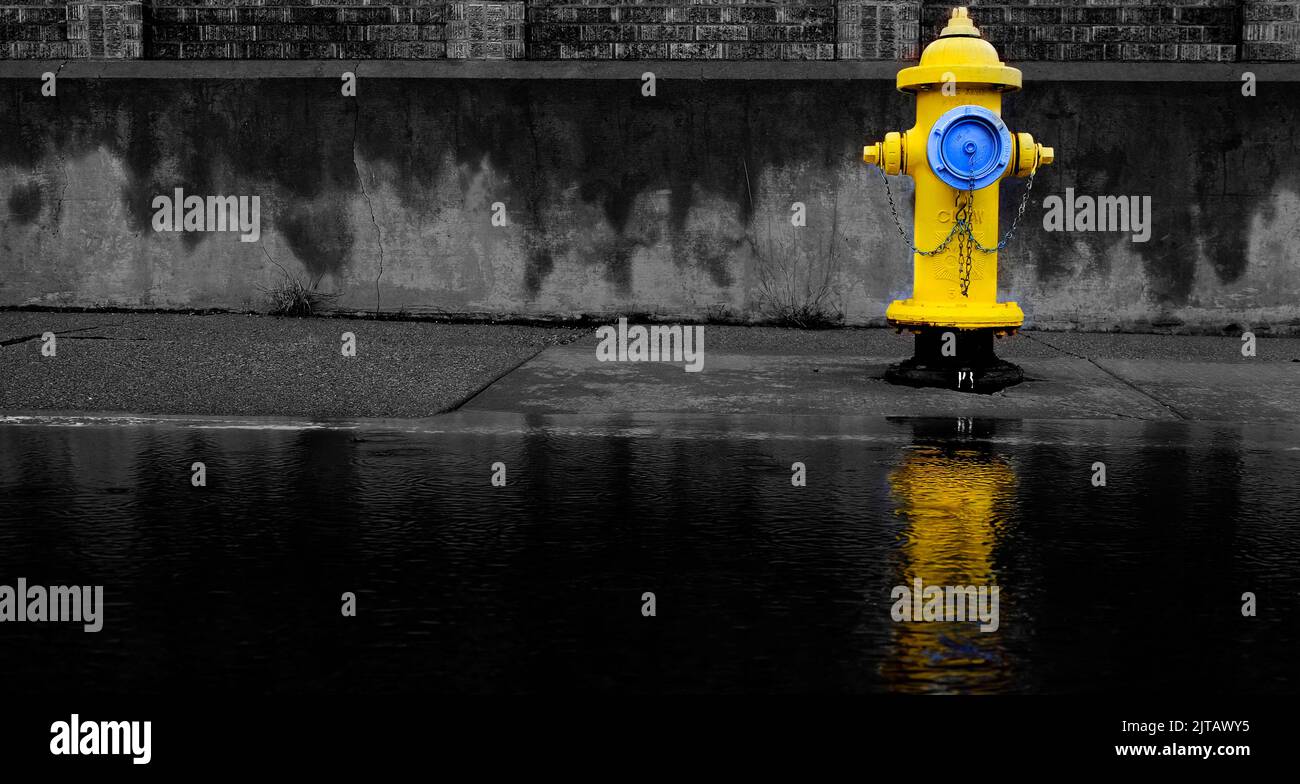 Yellow fire hydrant reflected reflection in pool of water flood Stock ...