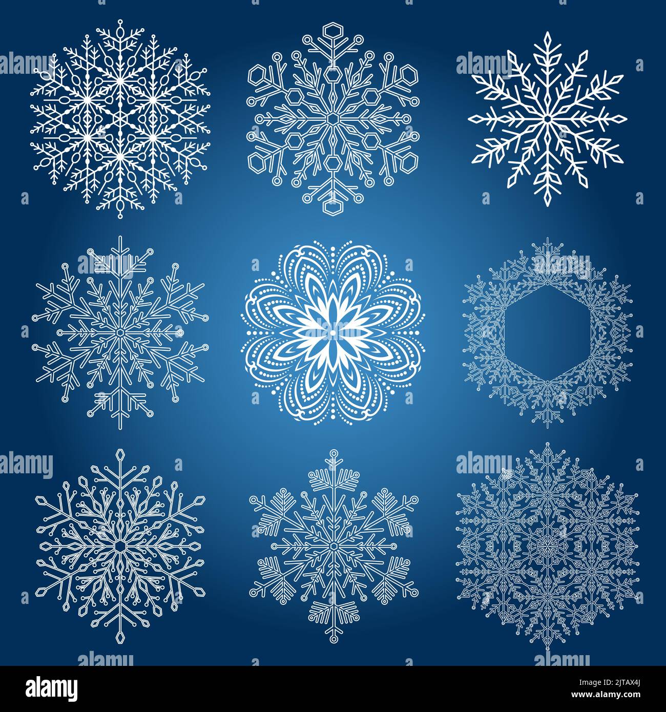 Set of vector snowflakes. Collection of blue and white winter ornaments ...