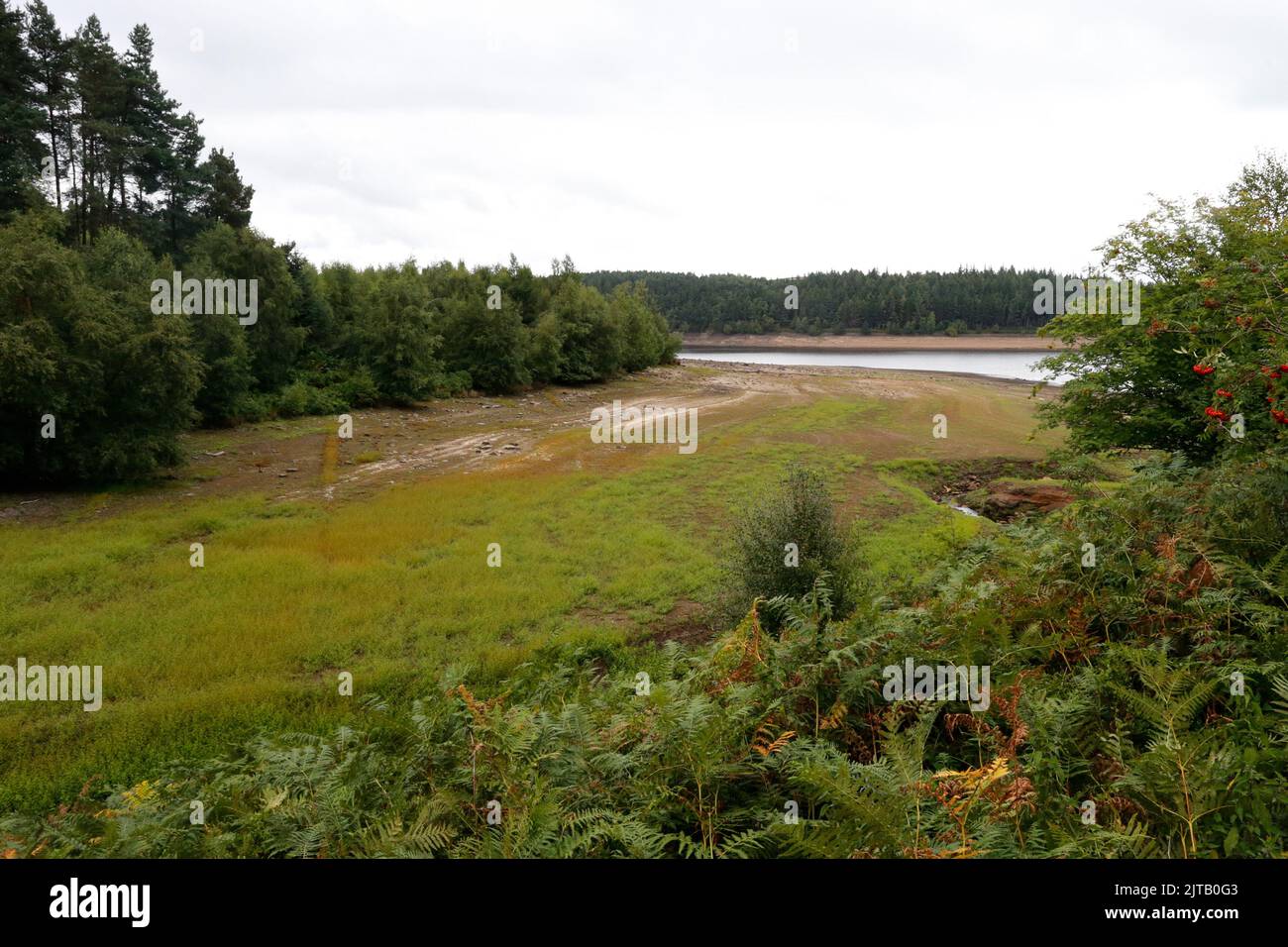 Langsett Reservoir water levels at a low as the warm spell continues ...