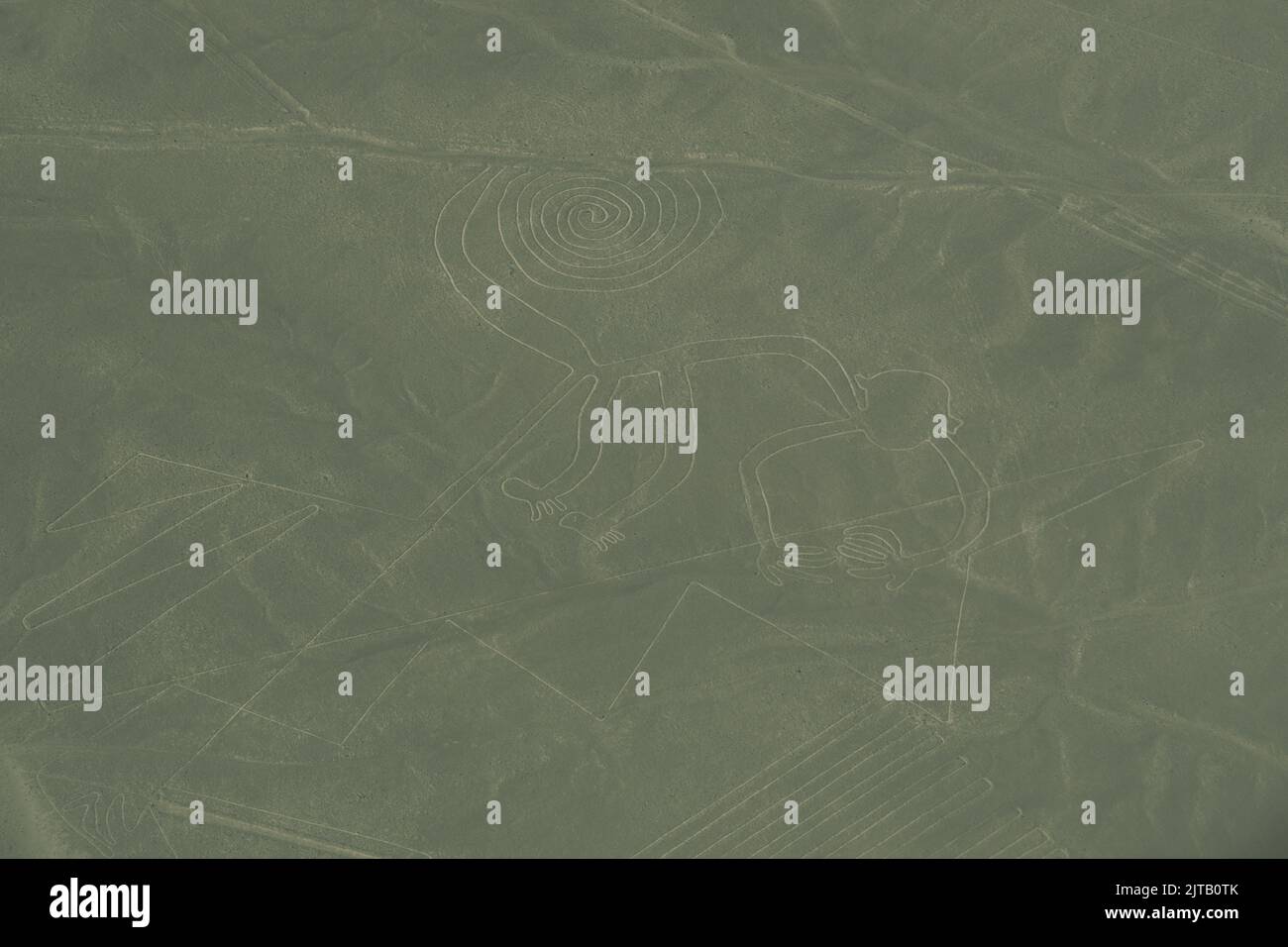 A closeup of Nazca Lines in a monkey shape, Peru Stock Photo - Alamy