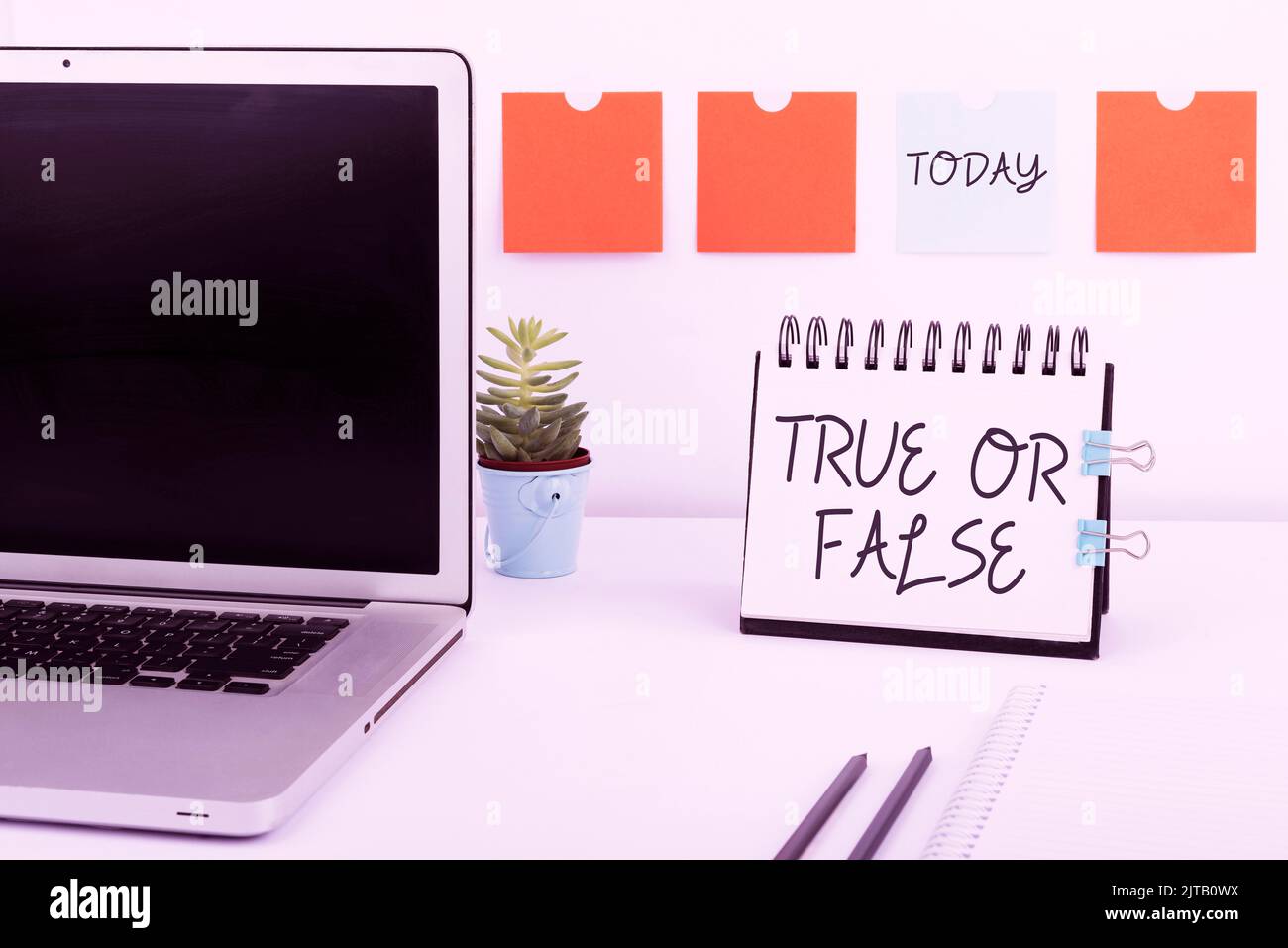 Handwriting text True Or False. Business concept Decide between a fact ...
