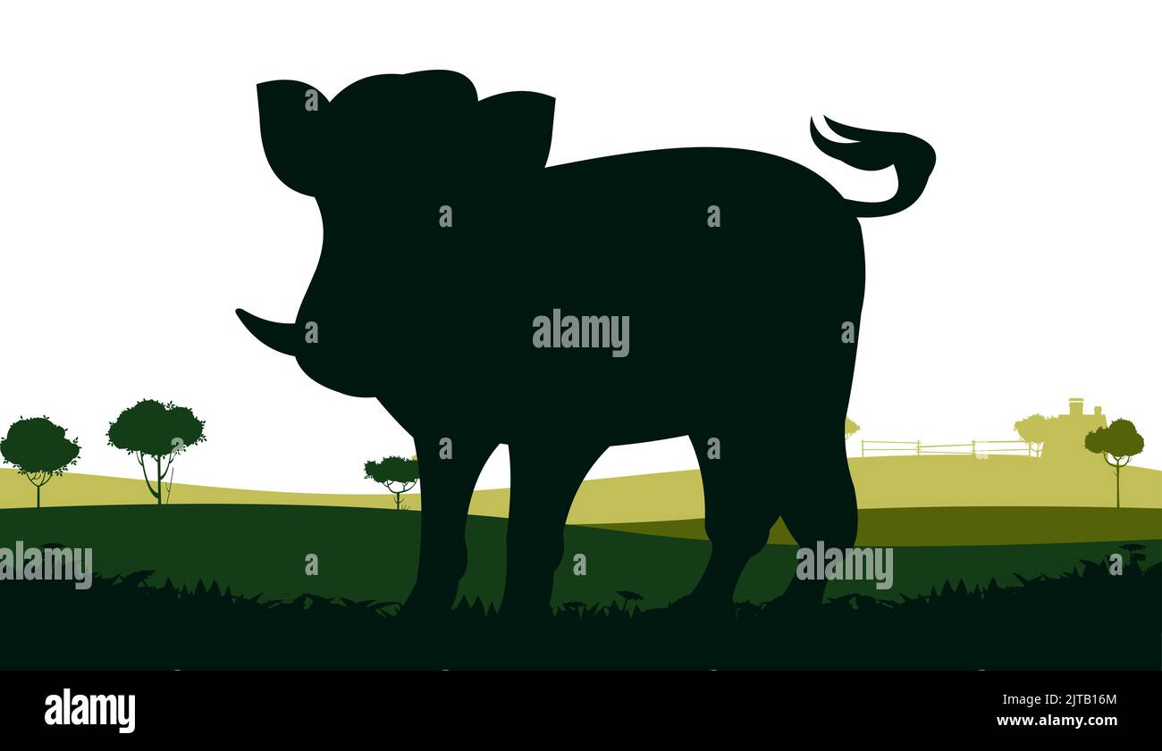 Wild boar young piglet. Animal in natural habitat. Wild pig ...