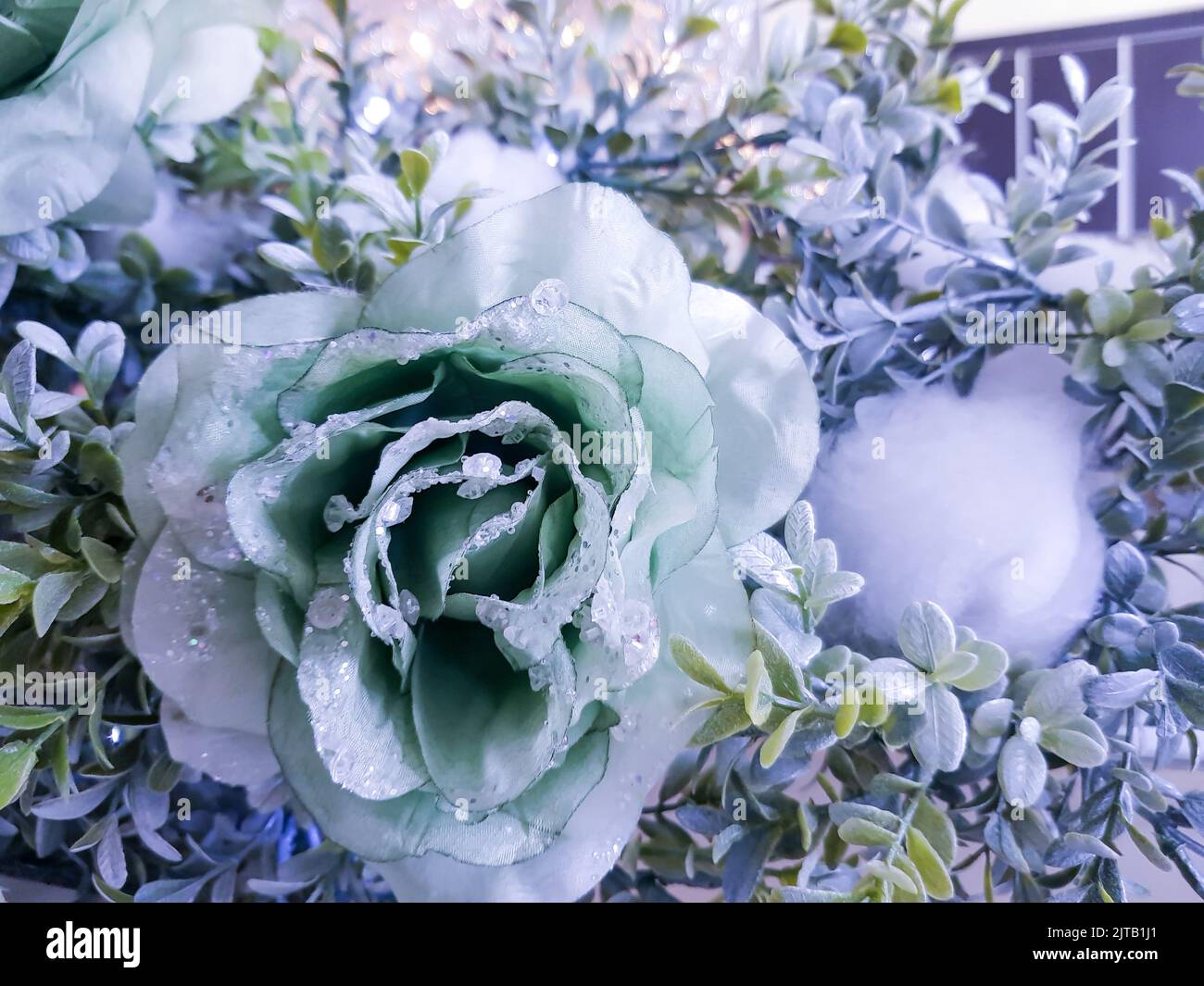 Frozen rose in white frost. Rose petals in small ice crystals ...