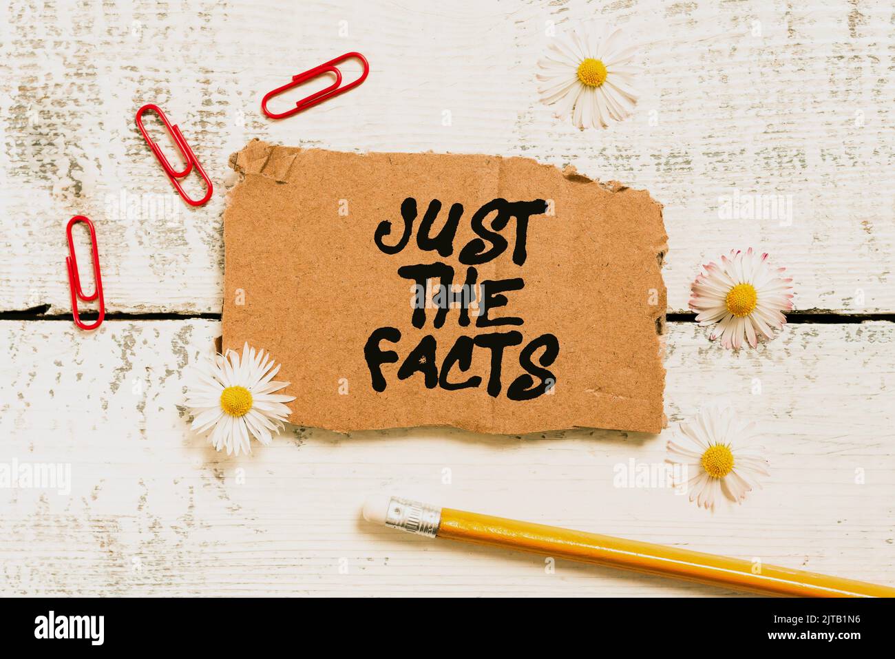 Writing displaying text Just The Facts. Business idea Give the ...