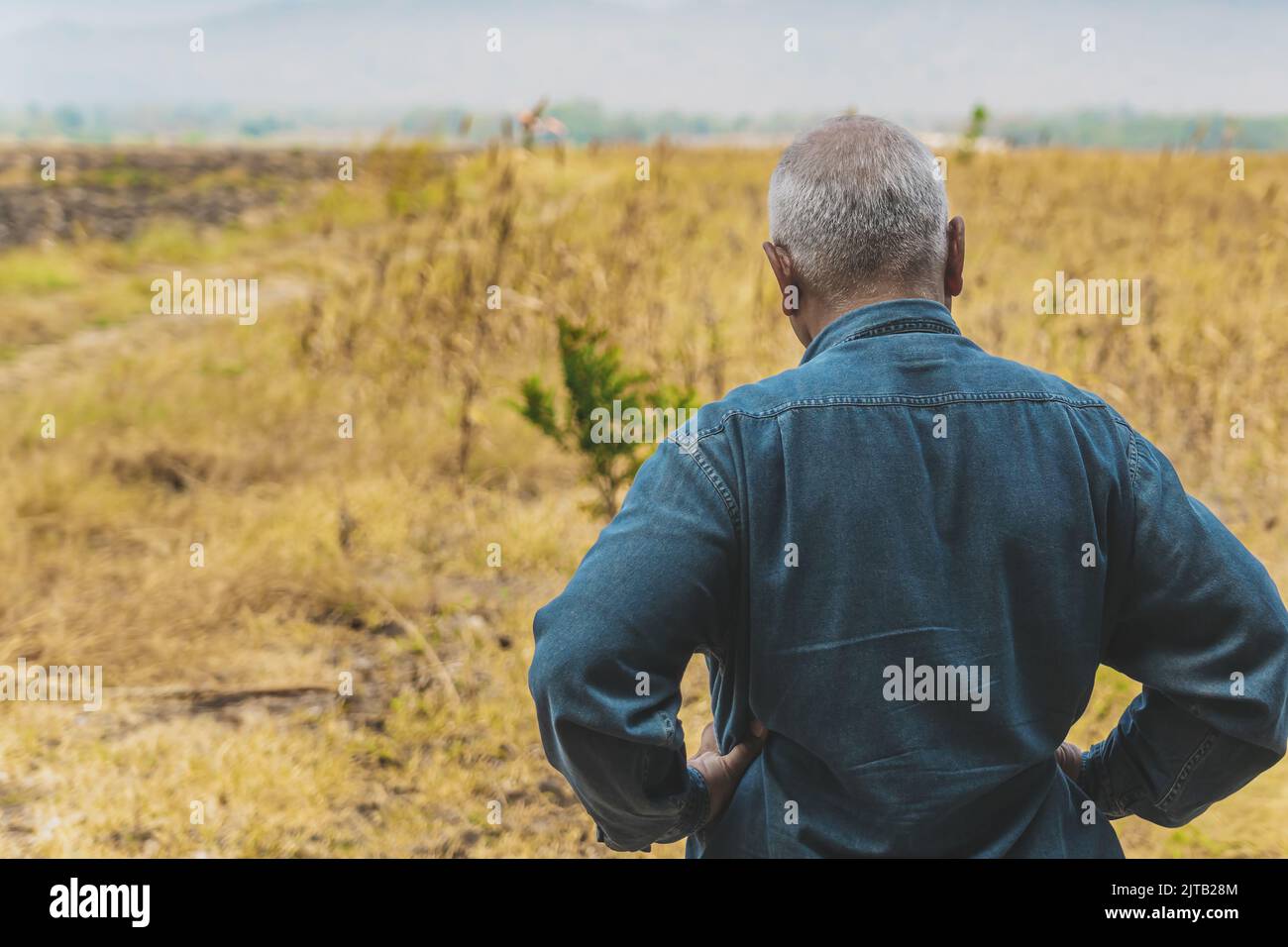 Back view of elderly man farmer stand with arms akimbo to look soil ...