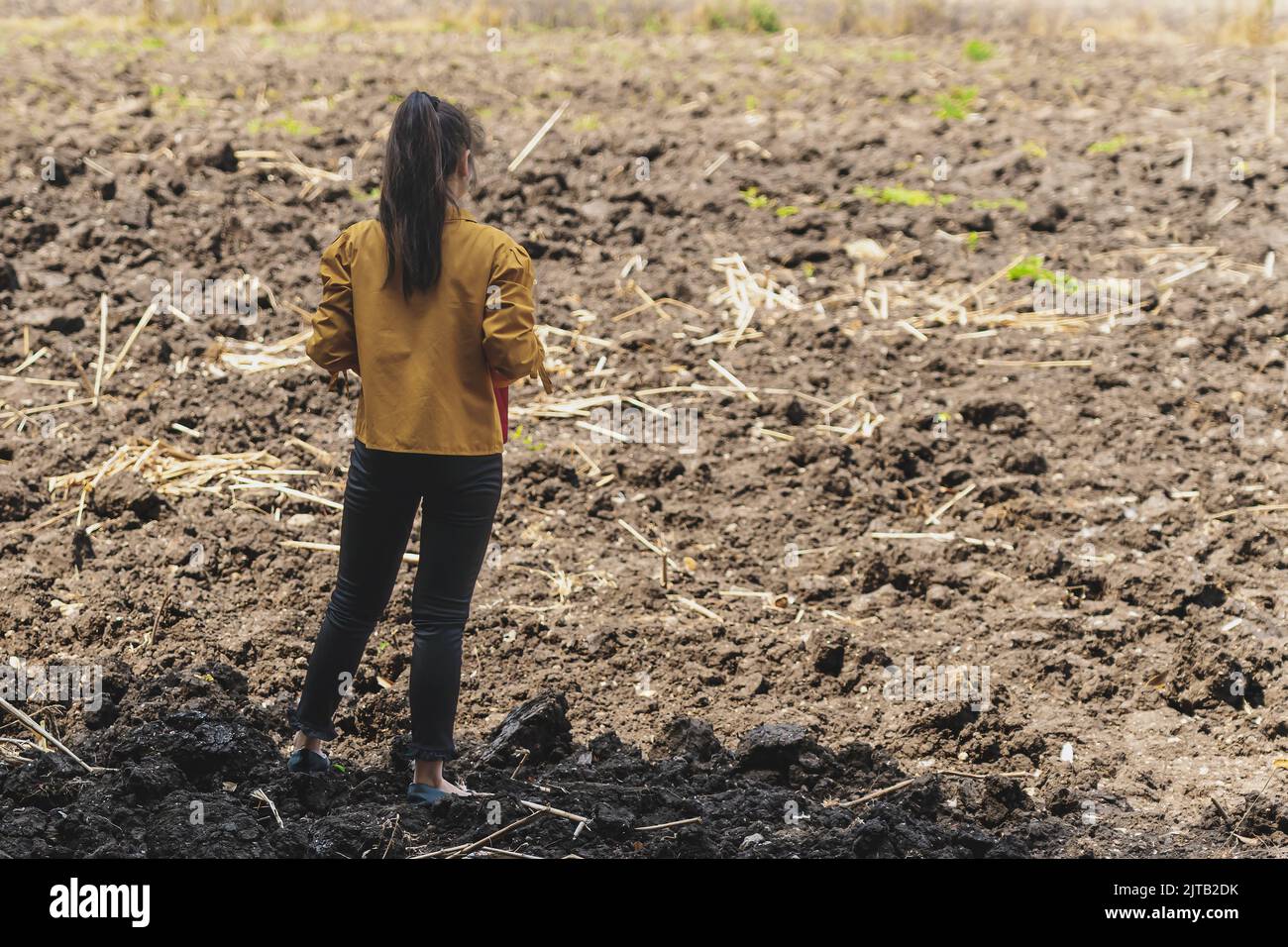 Back view of Asian young woman farmer stand alone to look soil quality ...