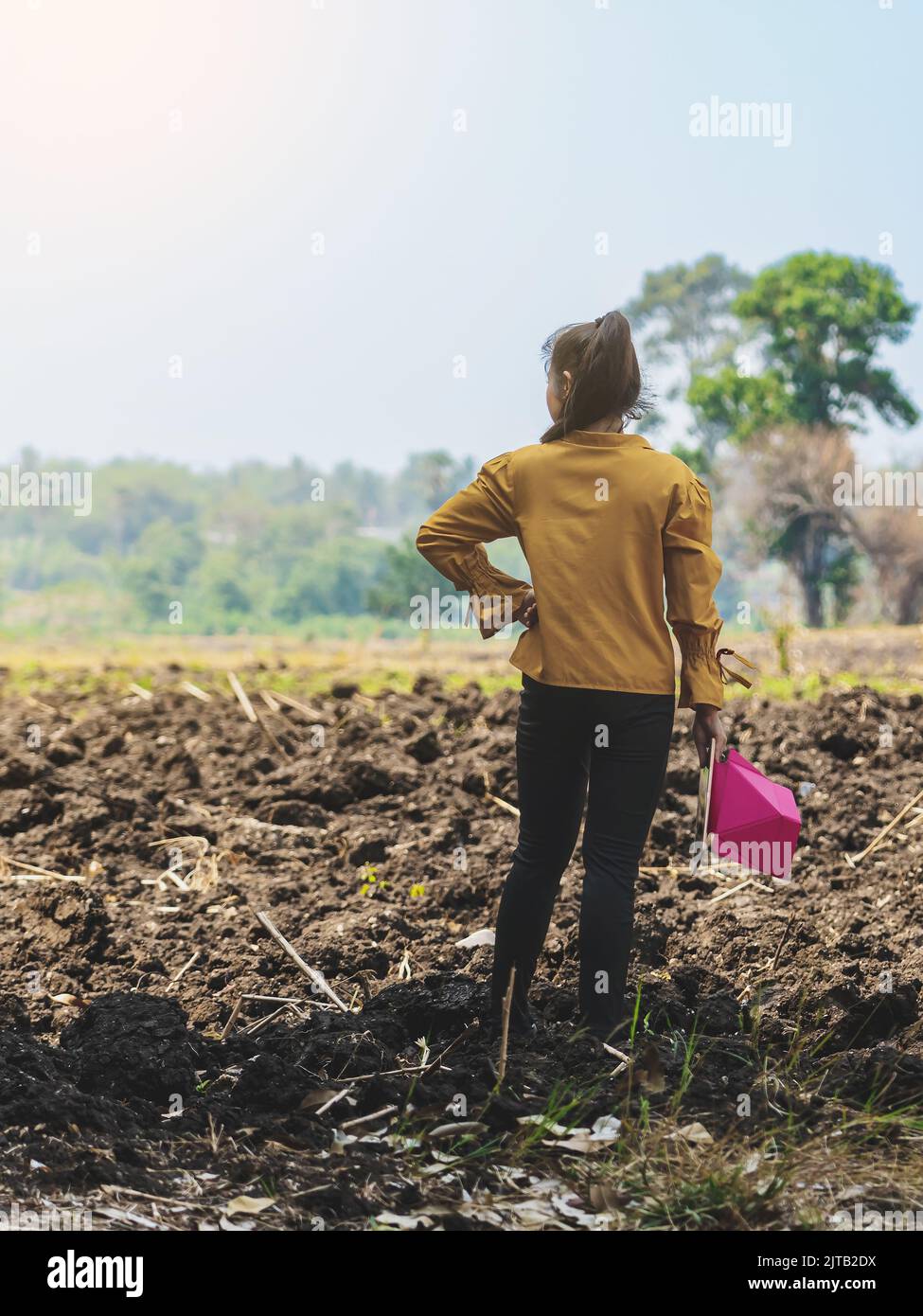 Back view of Asian young woman farmer stand alone with tablet to look ...