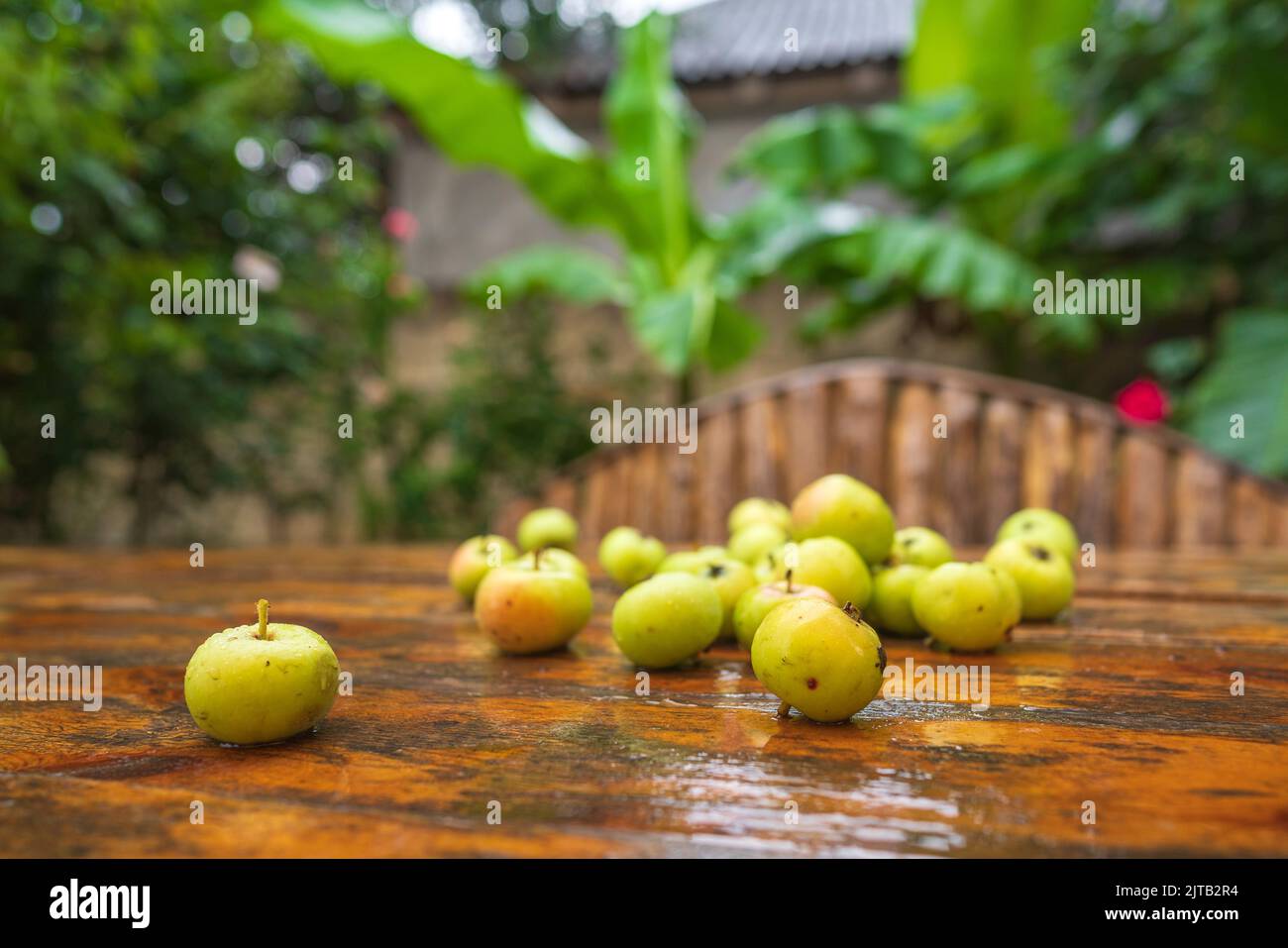 Wet cafe table hi-res stock photography and images - Alamy