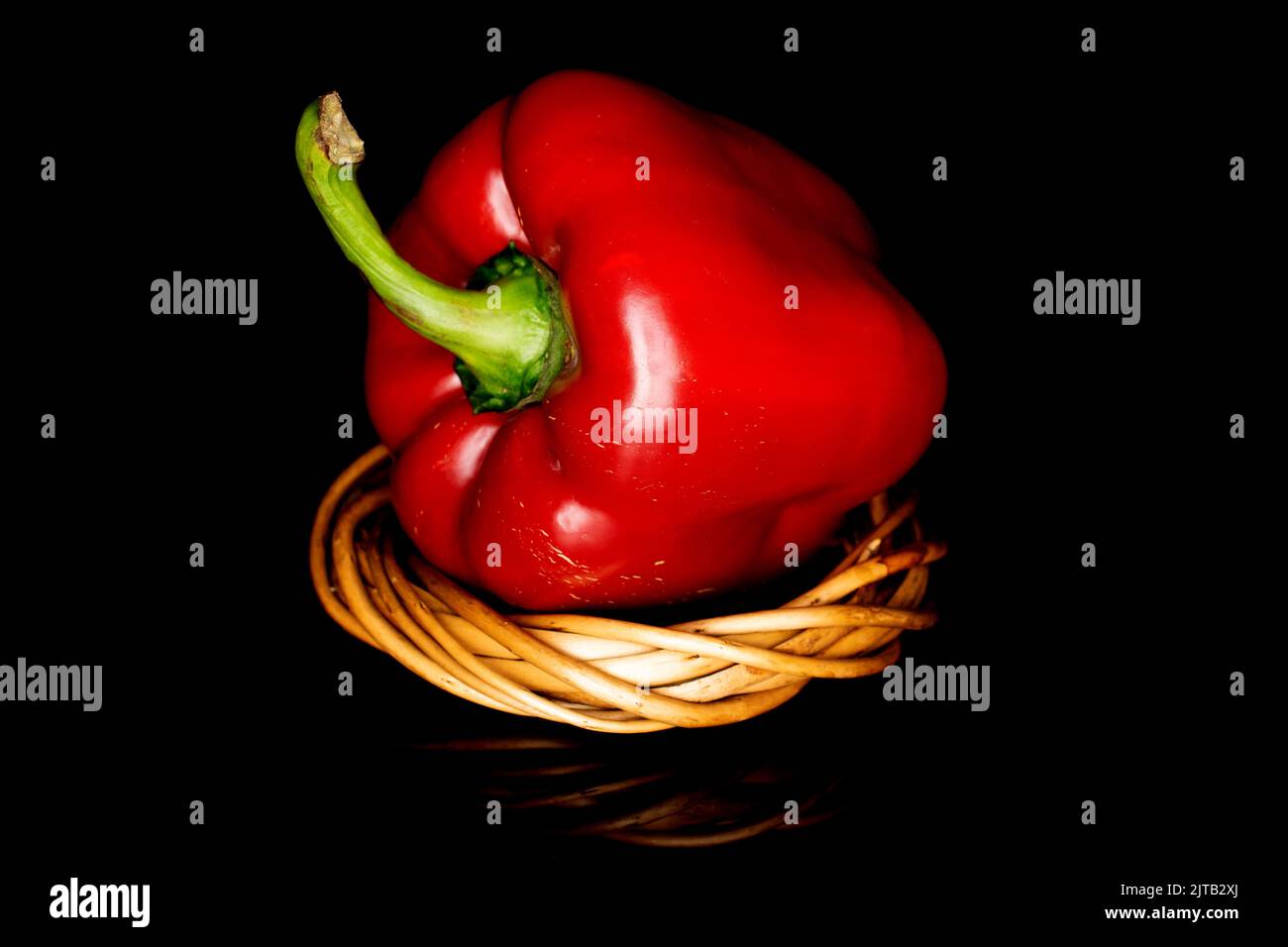 One whole, organic ripe juicy bell pepper, on a wicker ring from a vine ...