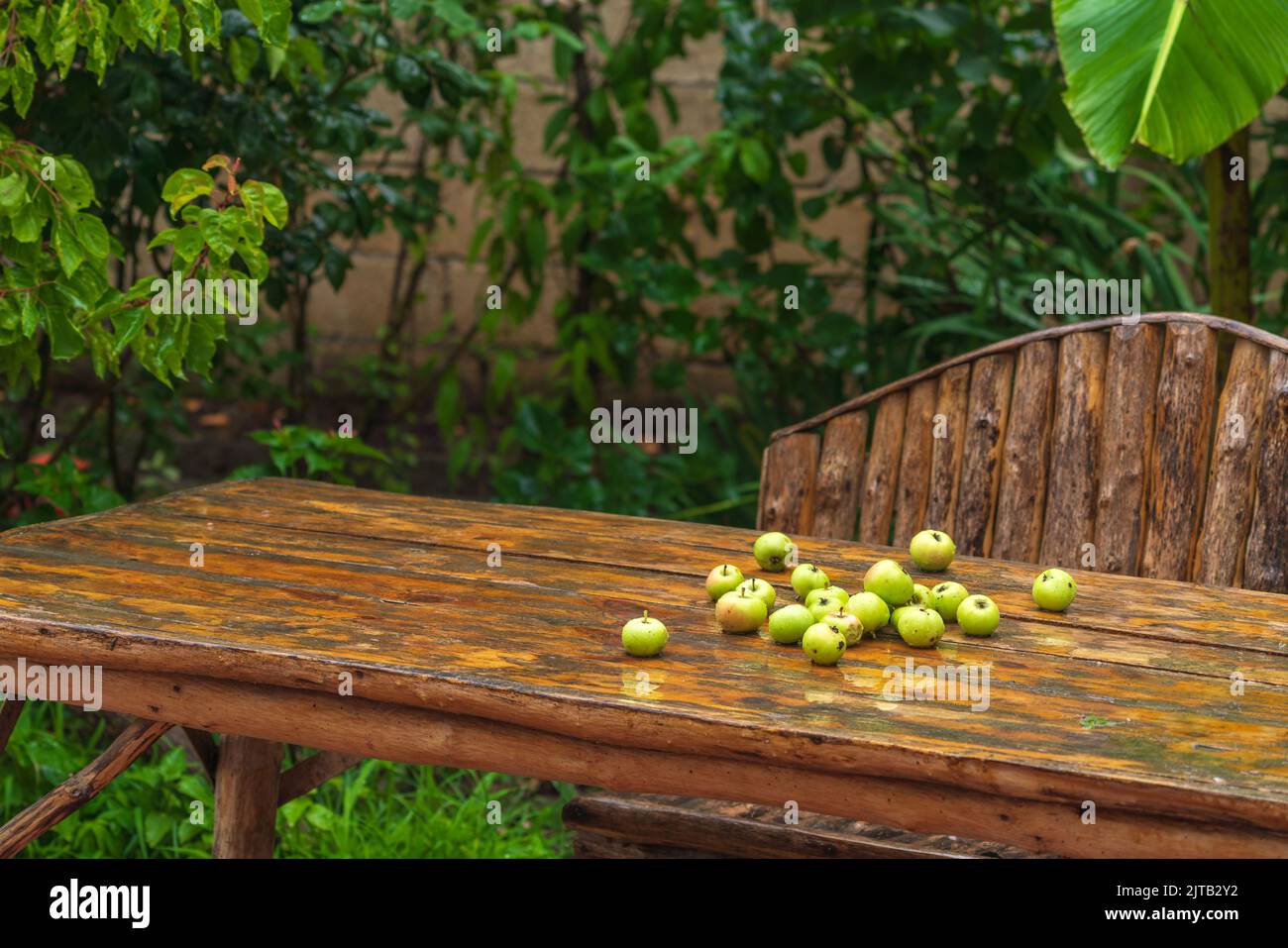 Wet table hi-res stock photography and images - Alamy