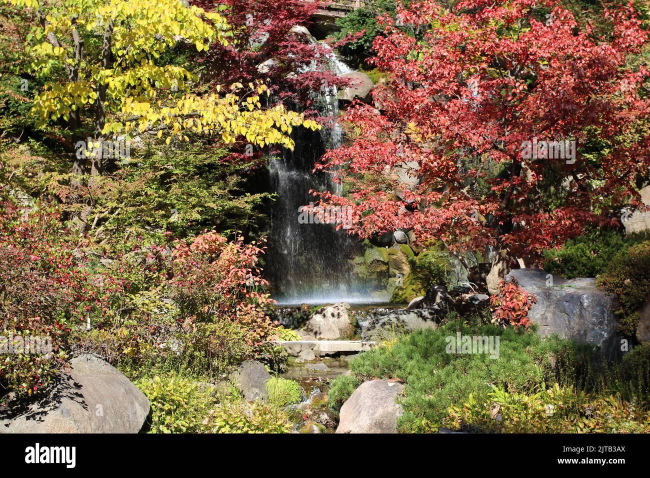 Peering through trees at a waterfall in the fall at the Anderson ...