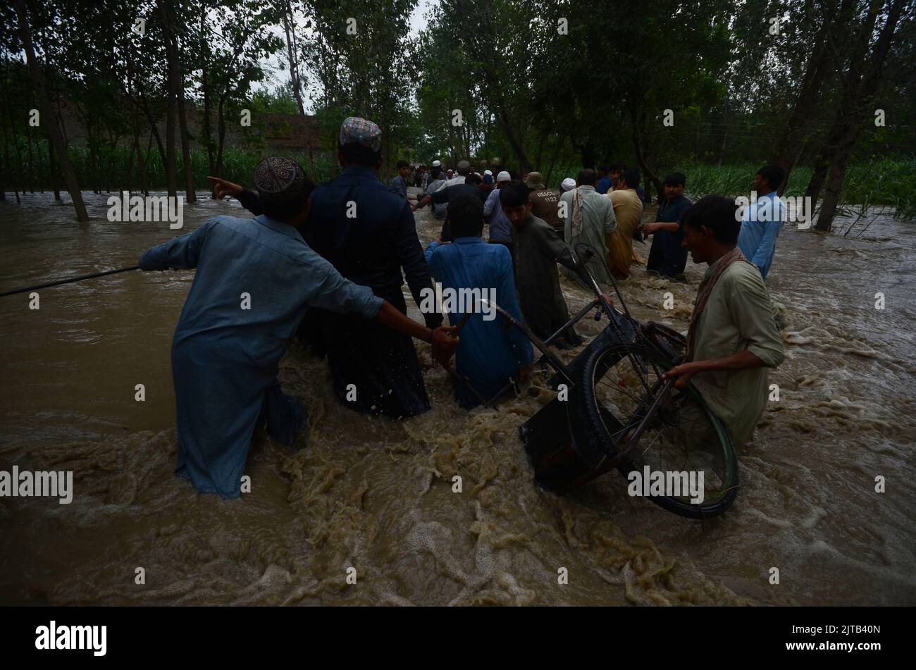 Peshawar, Pakistan. 26th Aug, 2022. Torrential rains and storms cause ...