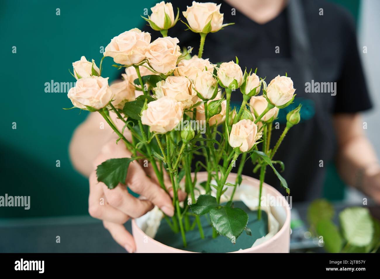 Female hands of florist insert roses into hat box Stock Photo - Alamy