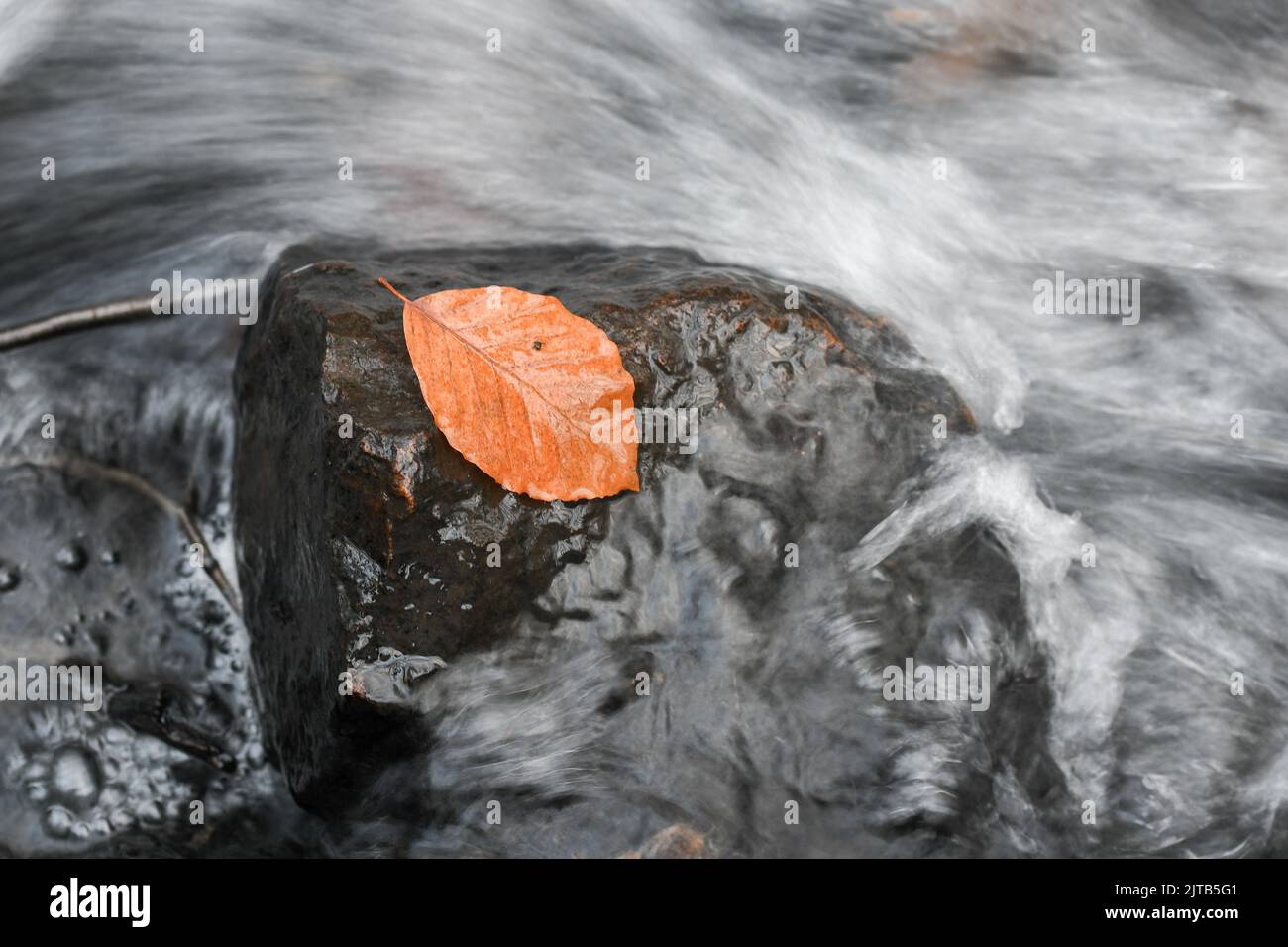 Long water splash hi-res stock photography and images - Alamy