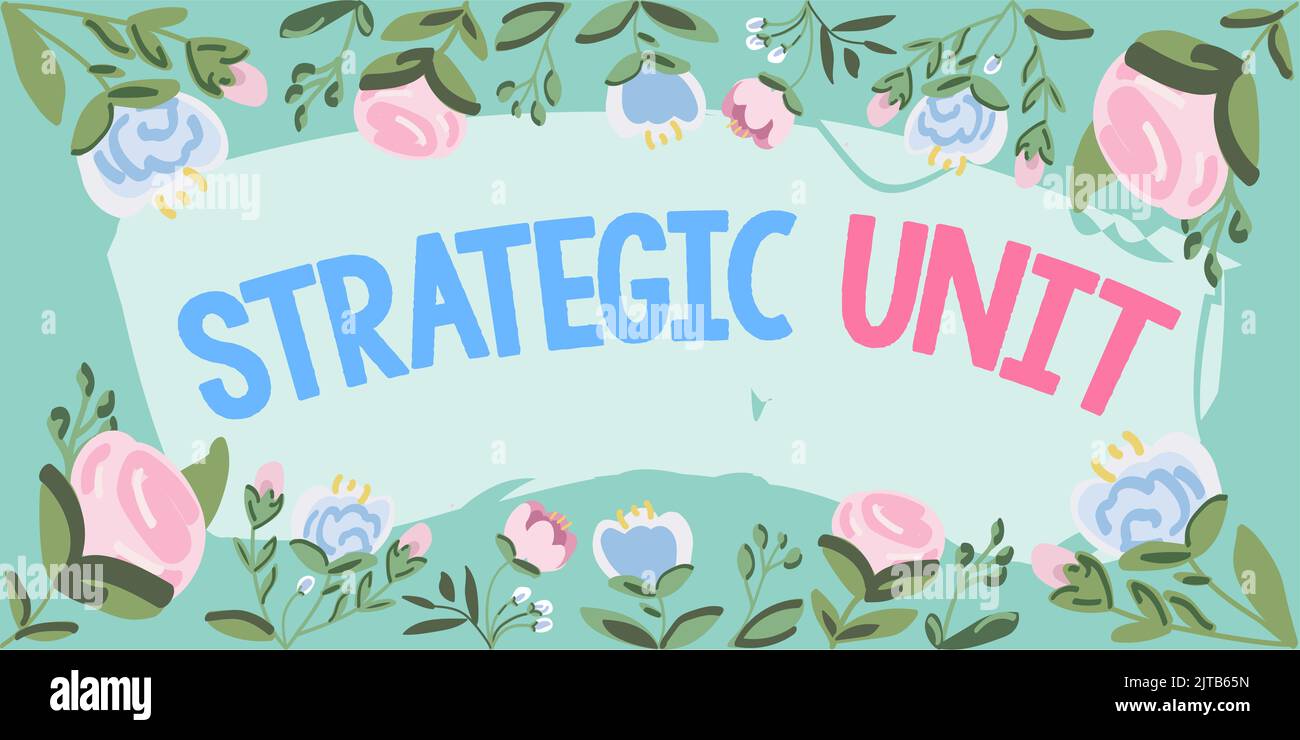 Conceptual display Strategic Unitprofit center focused on product ... Conceptual display Strategic Unitprofit center focused on product ...