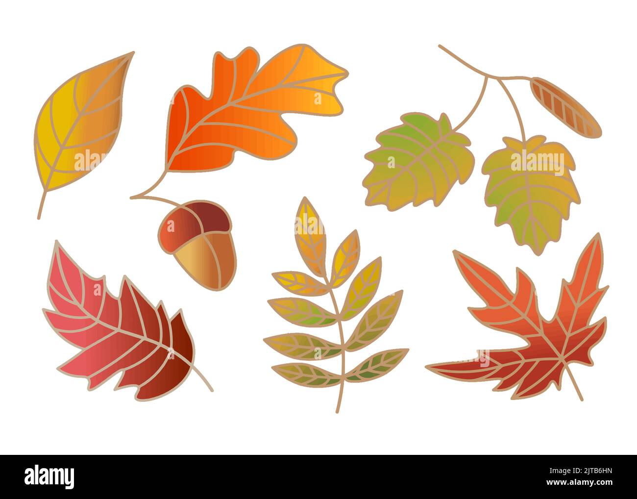 set of vector autumn leaves with gradient in illustrator Stock Vector ...
