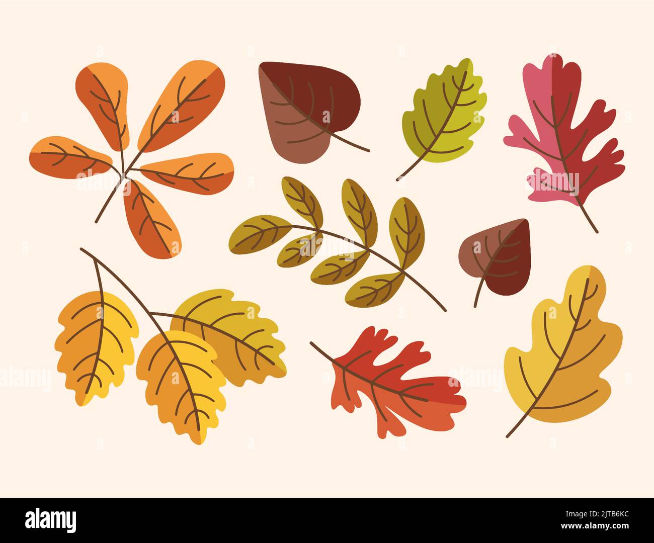 Set Of Vector Colorful Autumn Leaves And Illustration Stock Vector