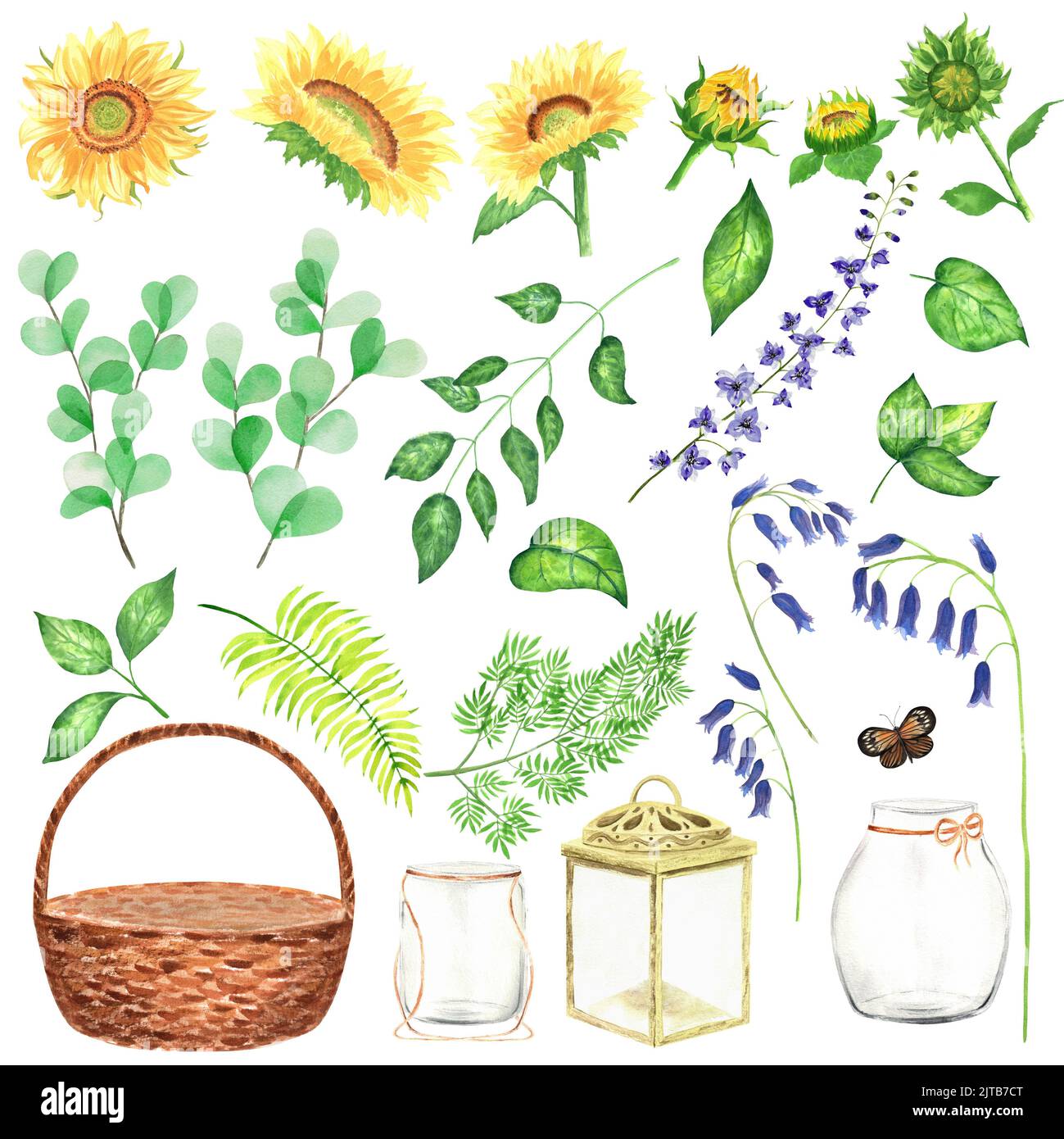 Watercolor set of farden illustrations including flowers, leaves and ...