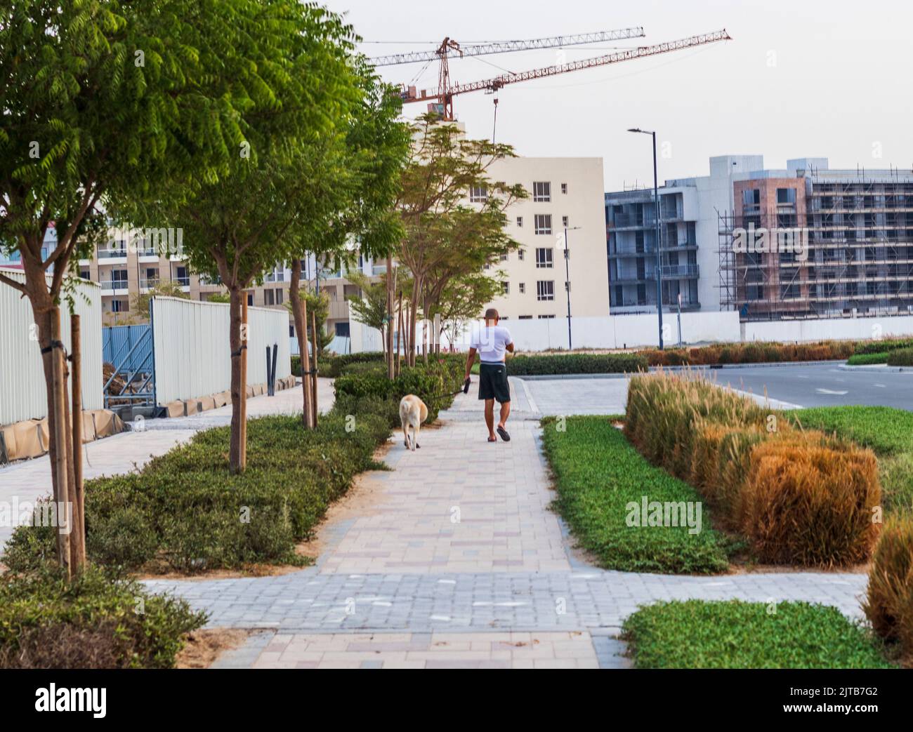 Neighborhood sidewalk evening hi-res stock photography and images - Alamy
