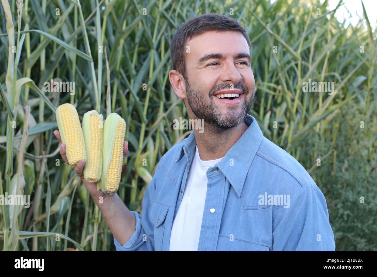 Farmer in beautiful corn fields Stock Photo - Alamy