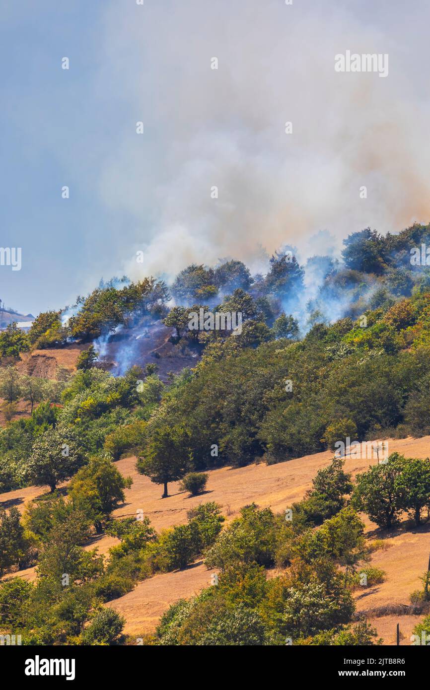 Extinguished forest fire on a mountainside Stock Photo - Alamy