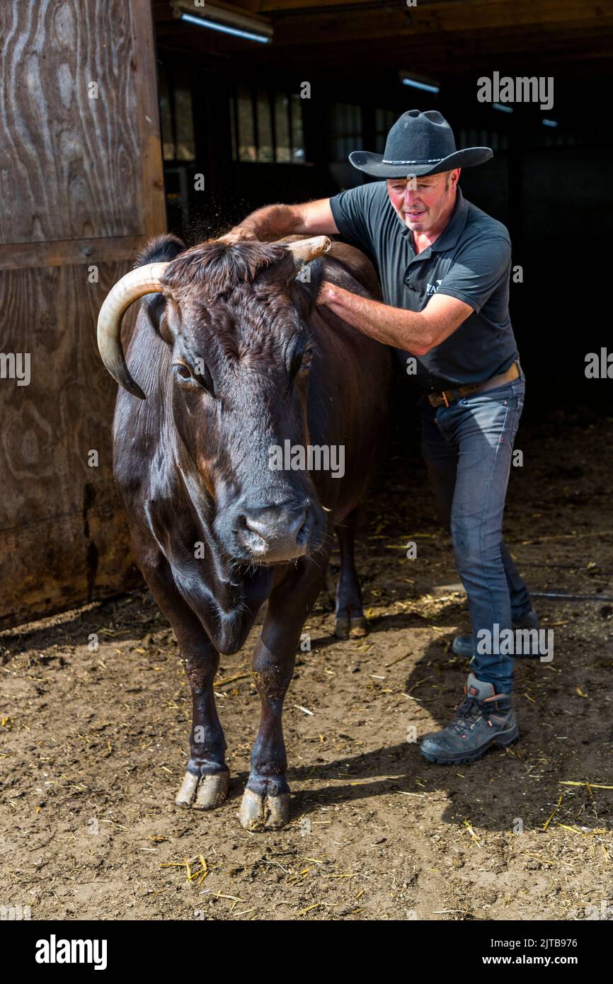 Van horn ranch hi-res stock photography and images - Alamy