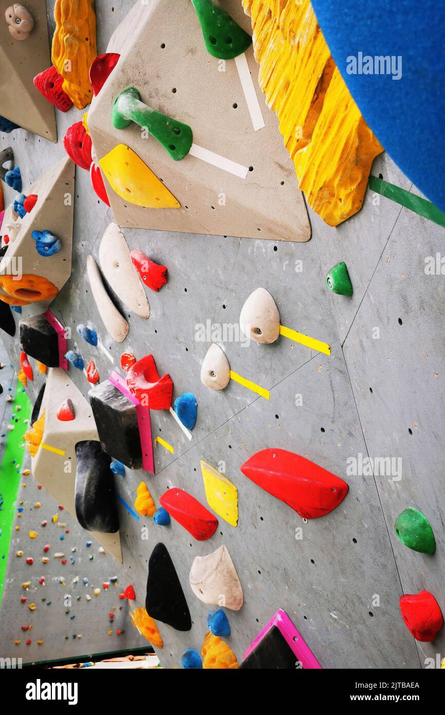 Artificial rock climbing bouldering wall showing various colored grips ...