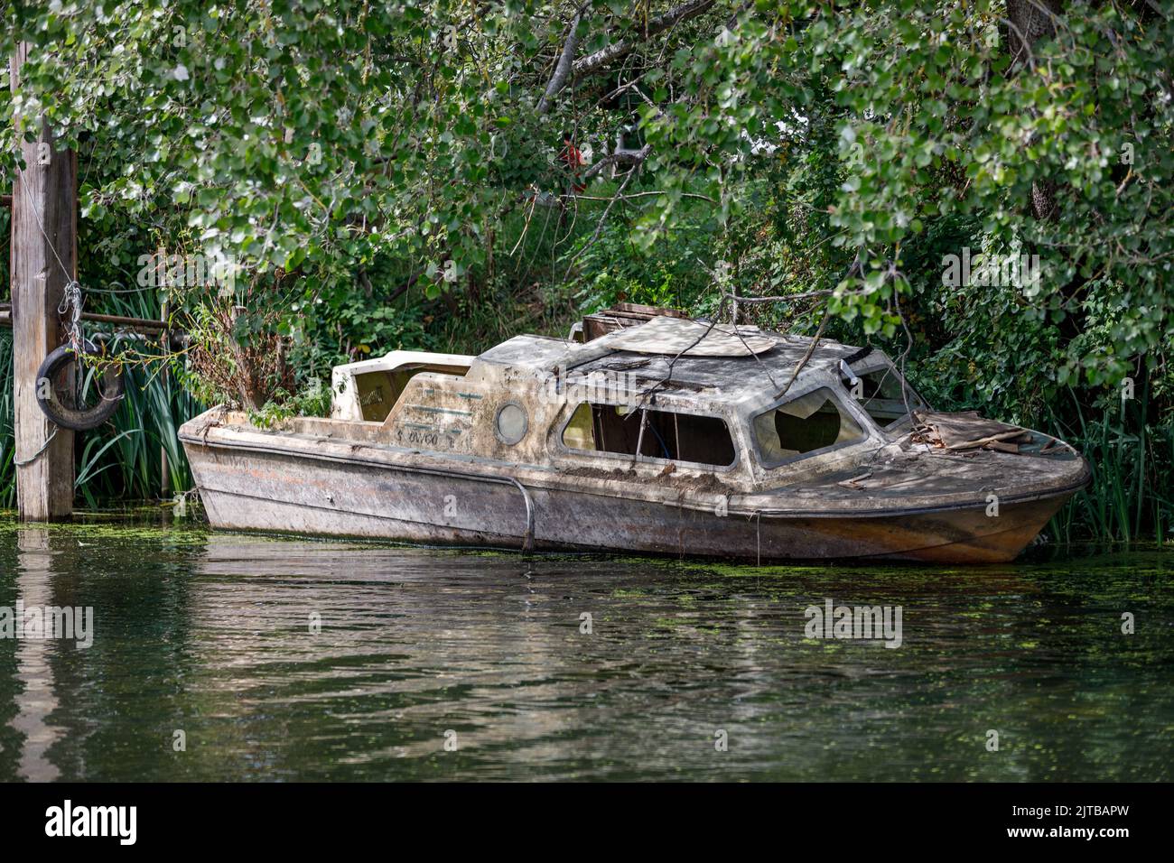 Riverside weeds hi-res stock photography and images - Alamy