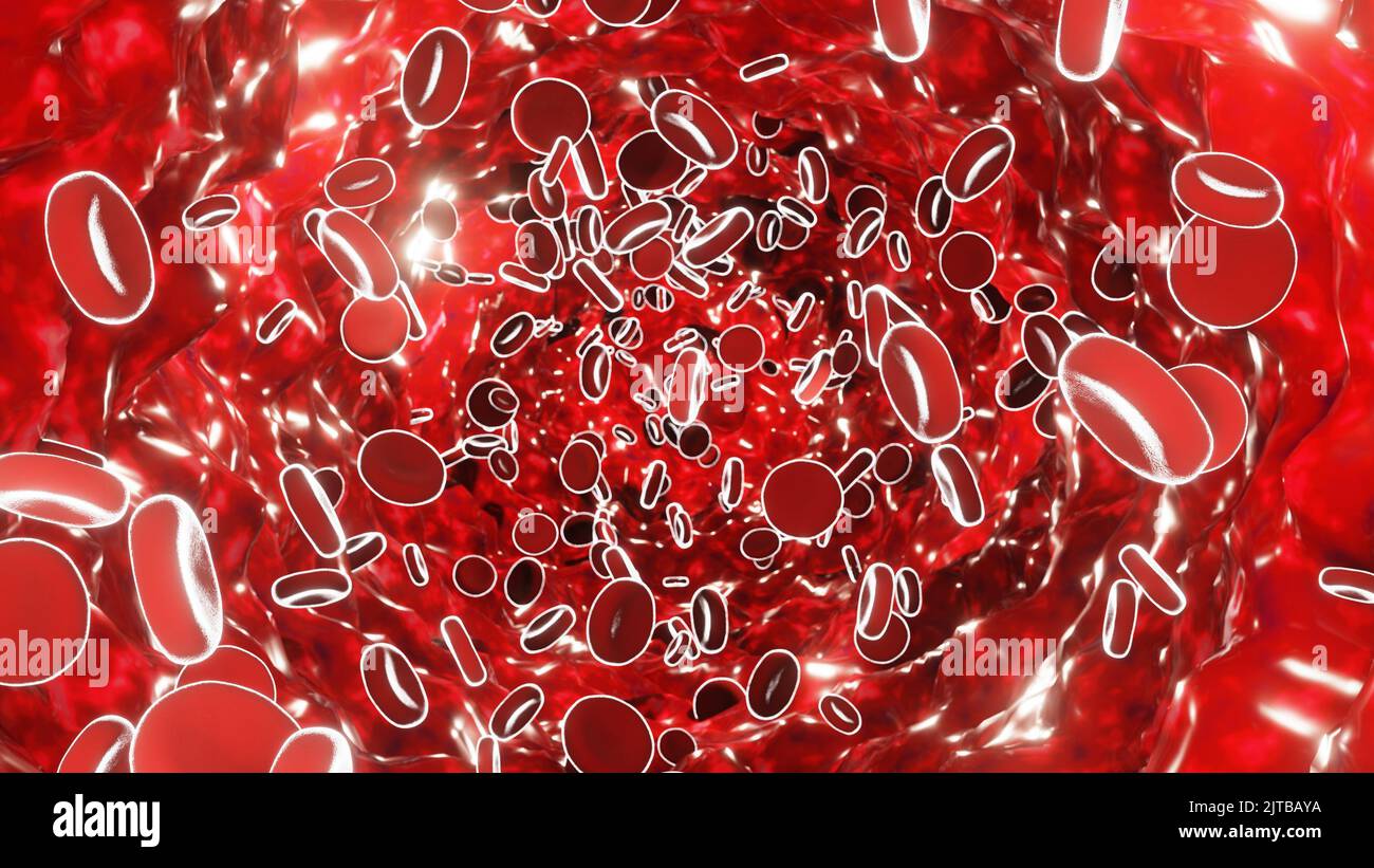 A background of stylized cartoon red blood cells flowing through the ...