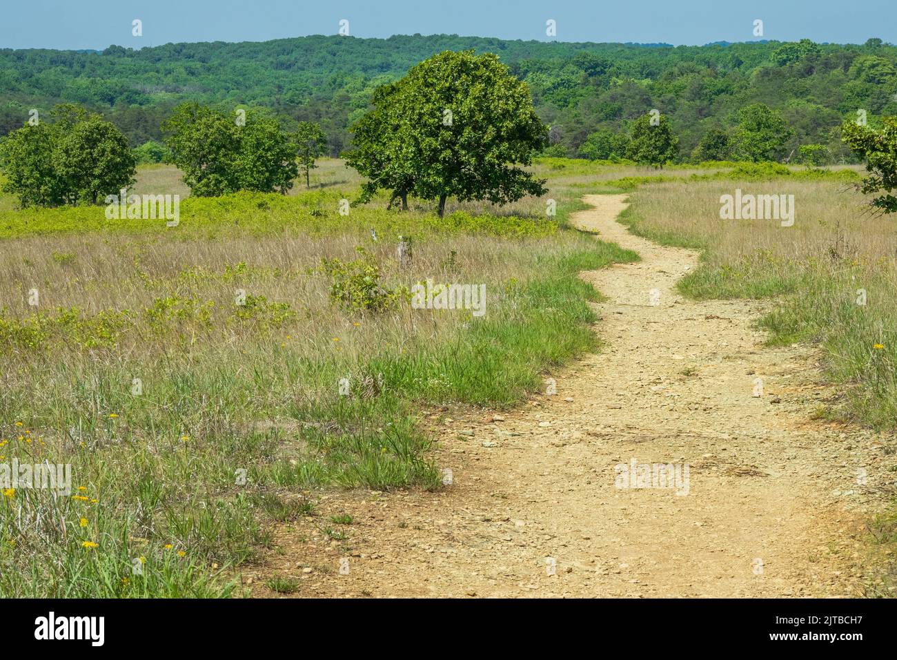 Dry arid path in the Serpentine rock trail, Baltimore, Maryland Stock ...