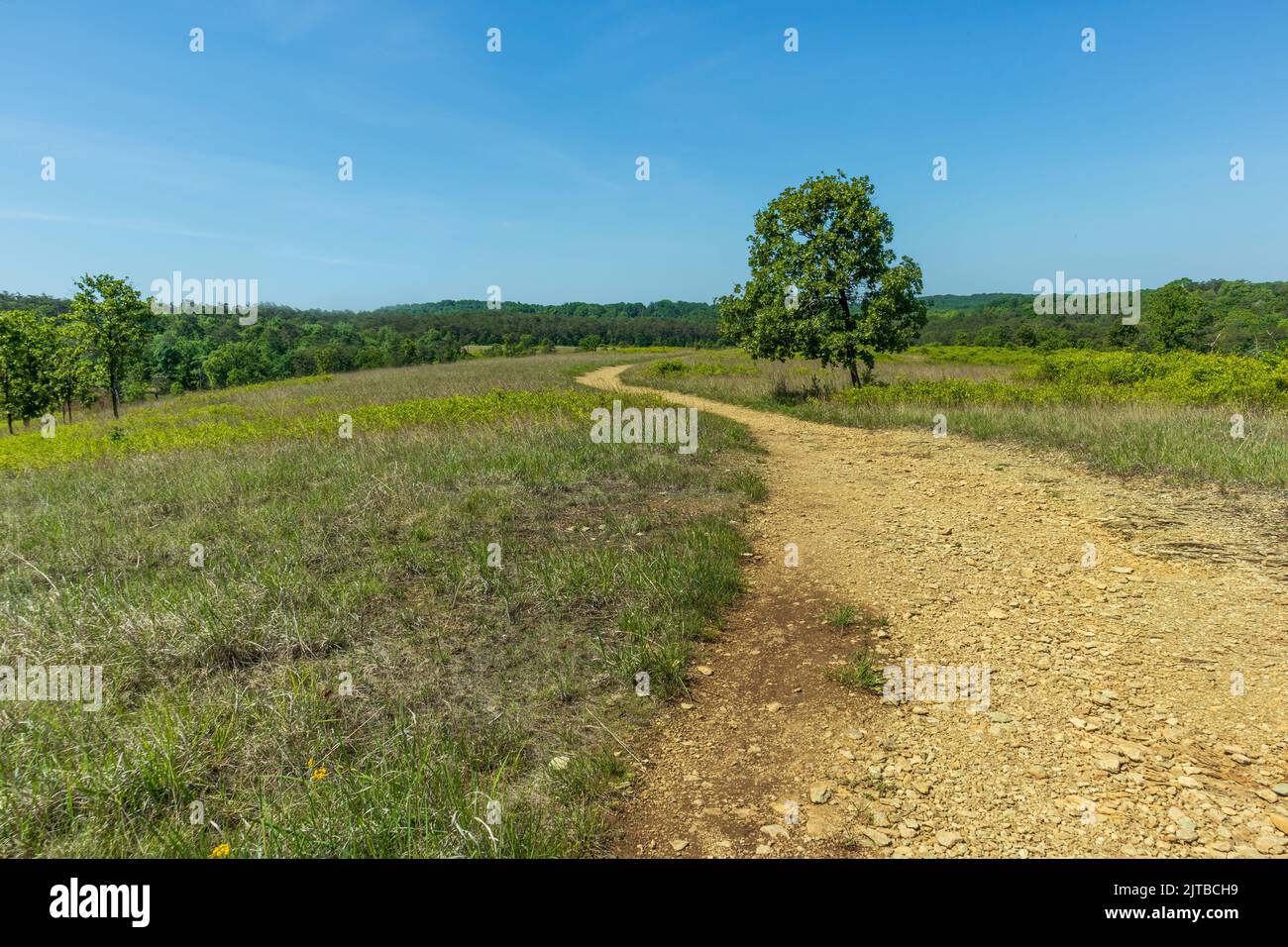 Dry arid path in the Serpentine rock trail, Baltimore, Maryland Stock ...