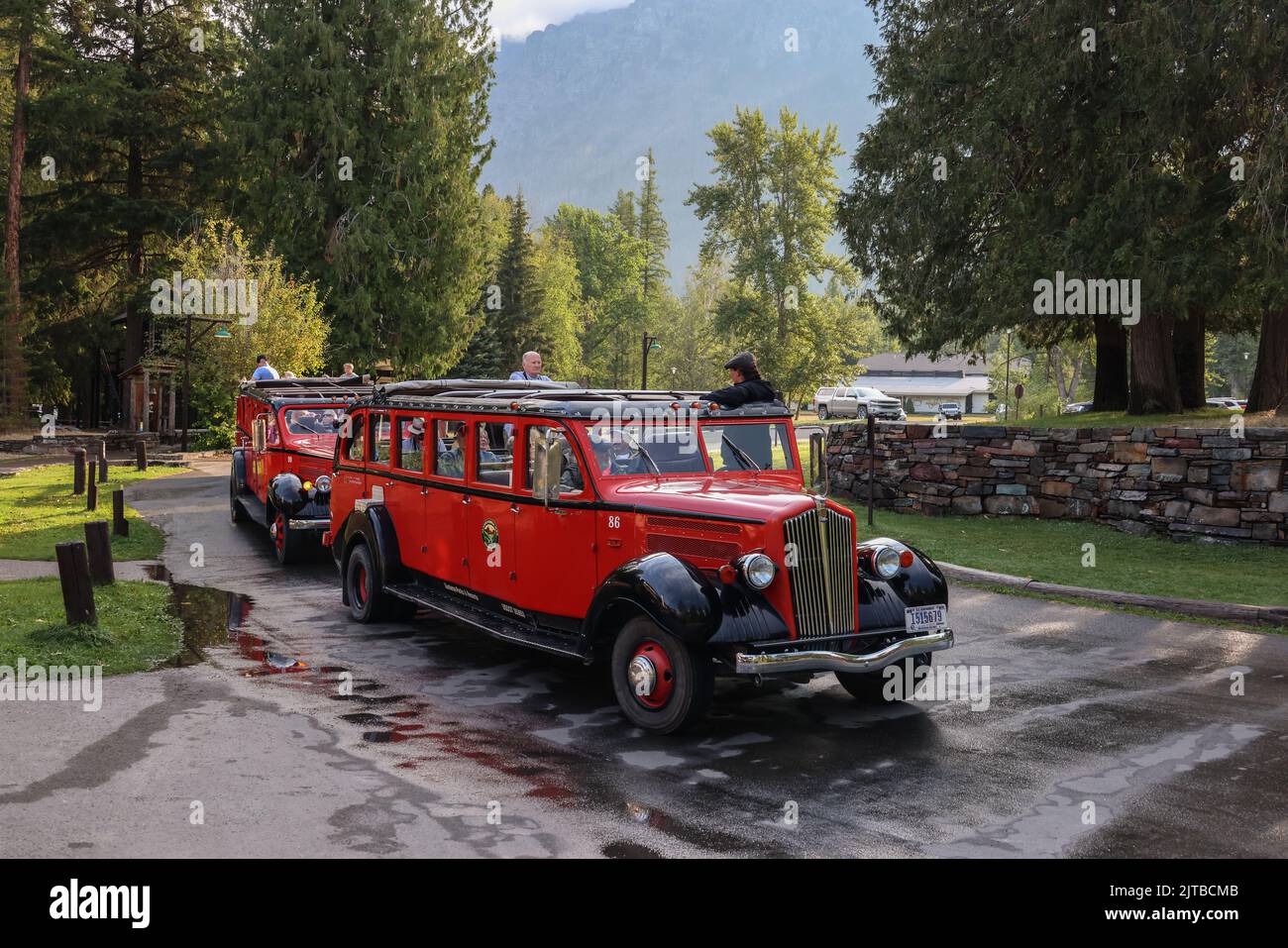The famous Red Bus in Glacier National Park Stock Photo - Alamy