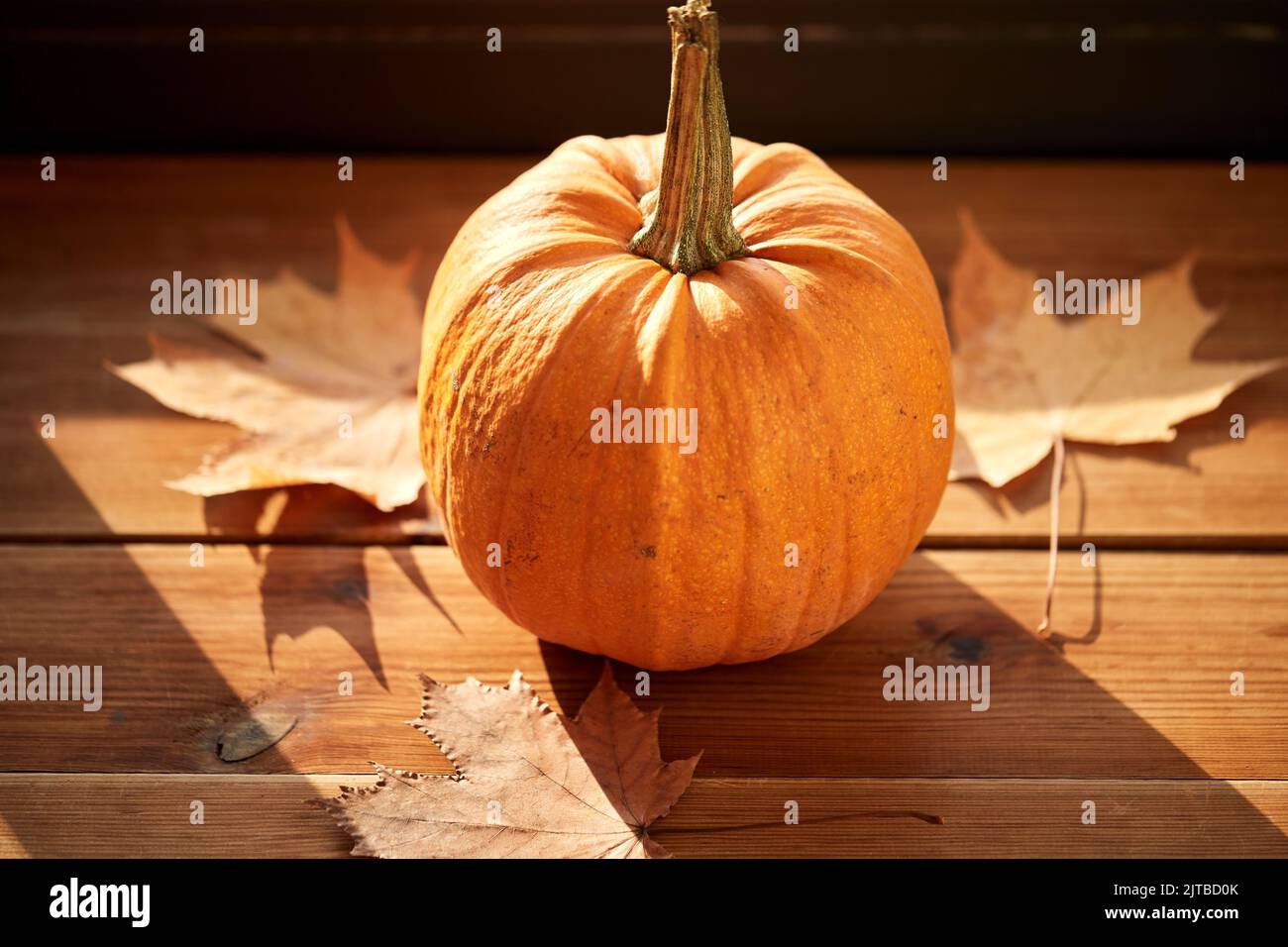 pumpkin and autumn leaves on window sill at home Stock Photo - Alamy