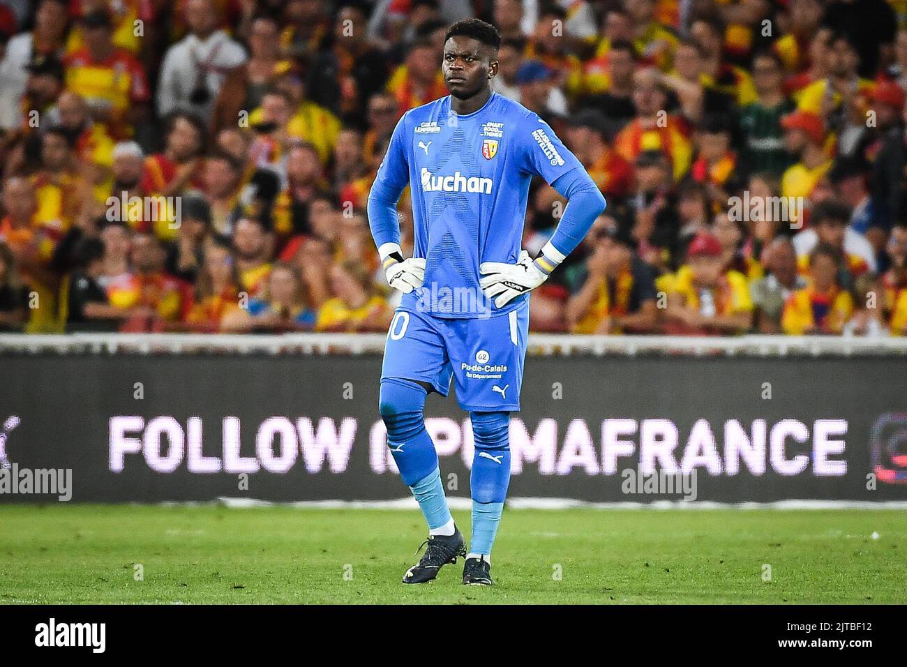 Brice samba lens hi-res stock photography and images - Alamy