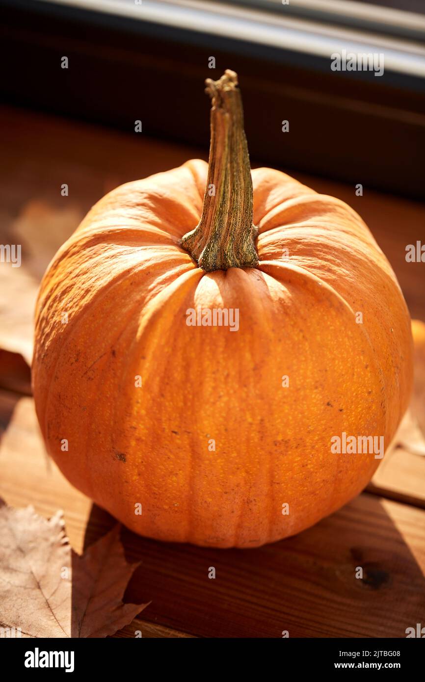 pumpkin and autumn leaves on window sill at home Stock Photo - Alamy