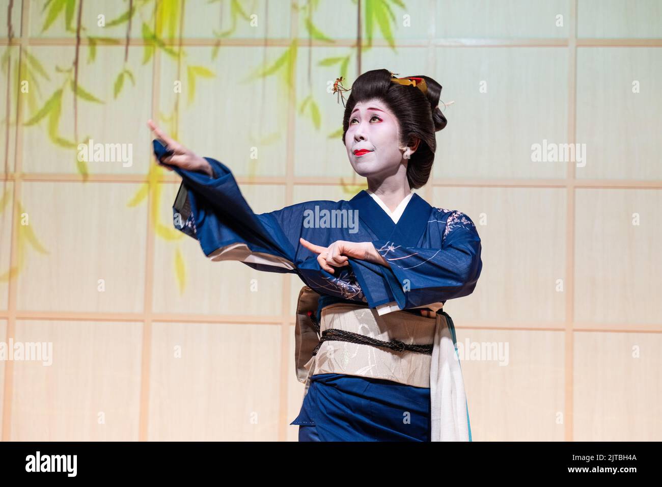 A Japanese geisha wearing a kimono, performs a traditional fan dance at ...