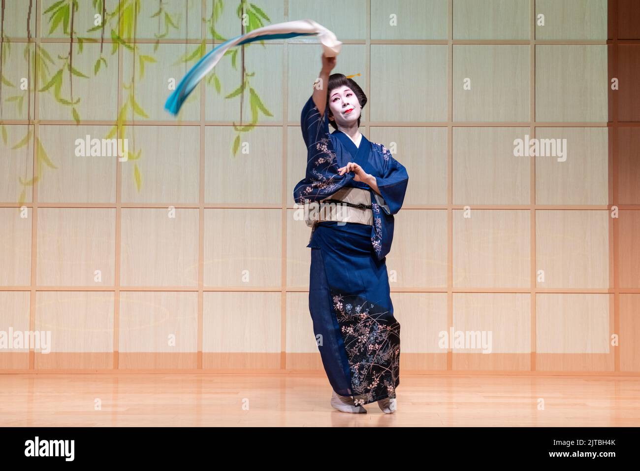 A Japanese geisha wearing a kimono, performs a traditional dance called ...