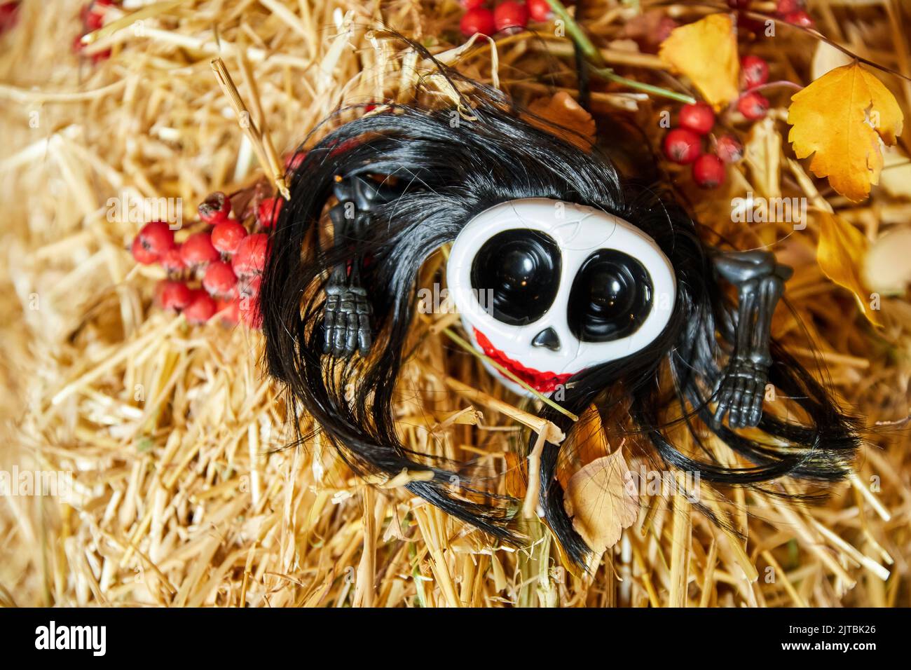 A toy spider with big eyes on a background of straw as a decoration for ...