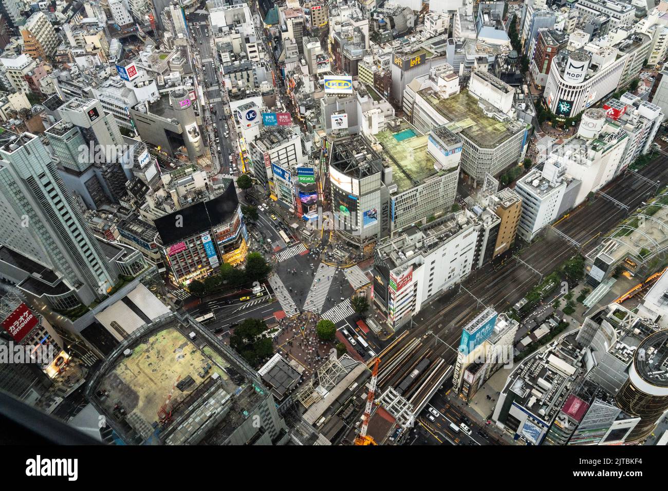 Pedestrians with umbrellas cross the multi-directional scramble ...