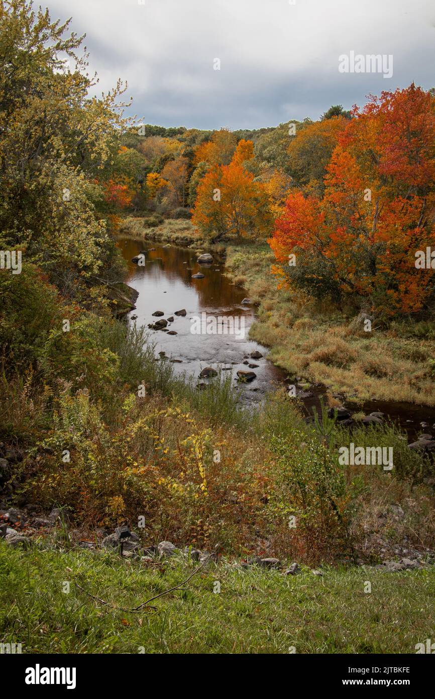 A vertical of a salt marsh along the Maine coast in the fall Stock ...