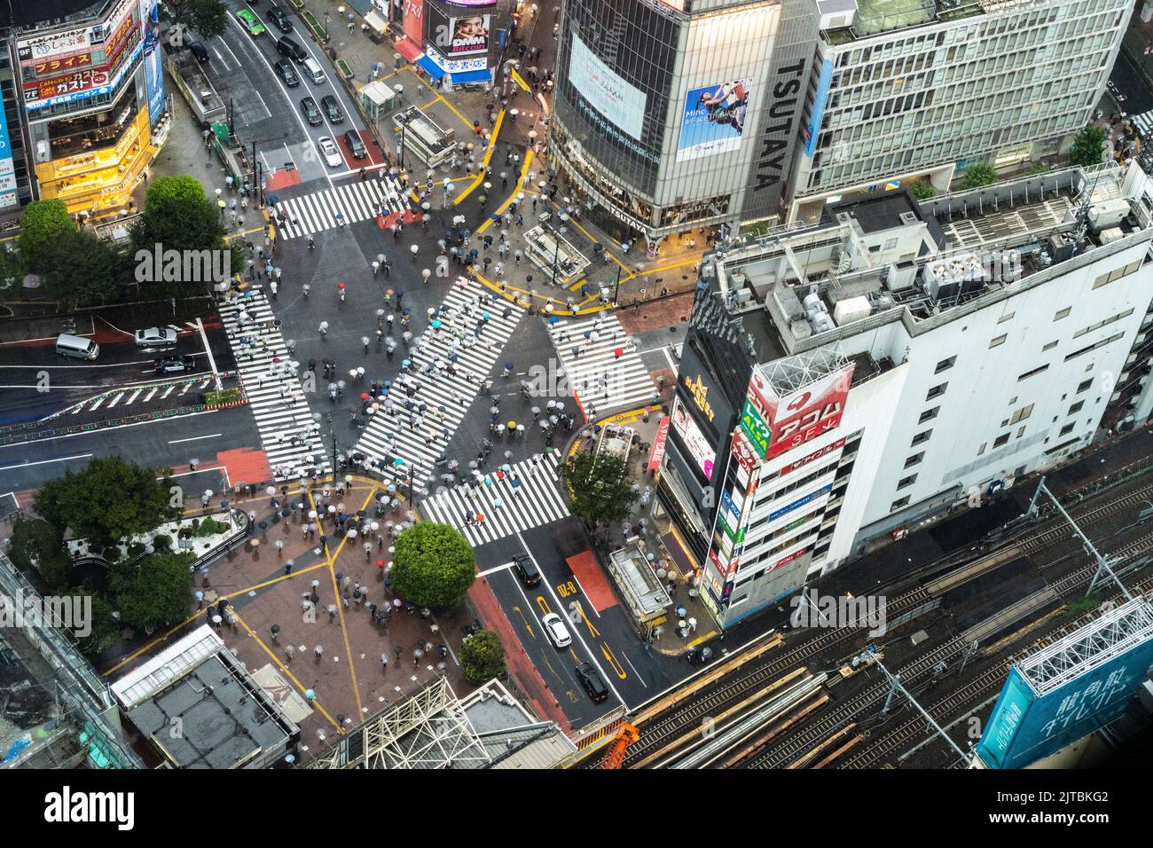 Pedestrians with umbrellas cross the multi-directional scramble ...