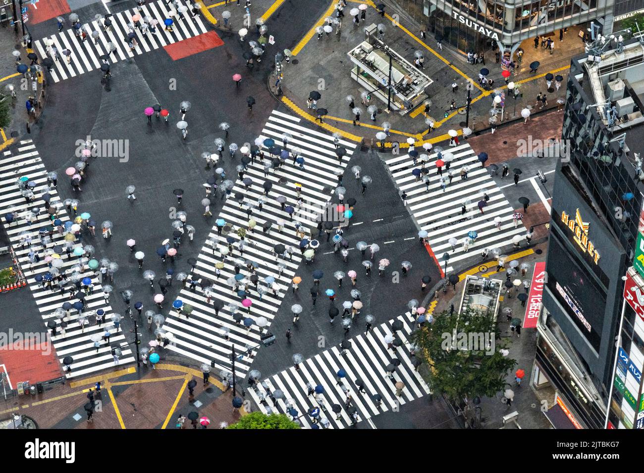 Pedestrians with umbrellas cross the multi-directional scramble ...