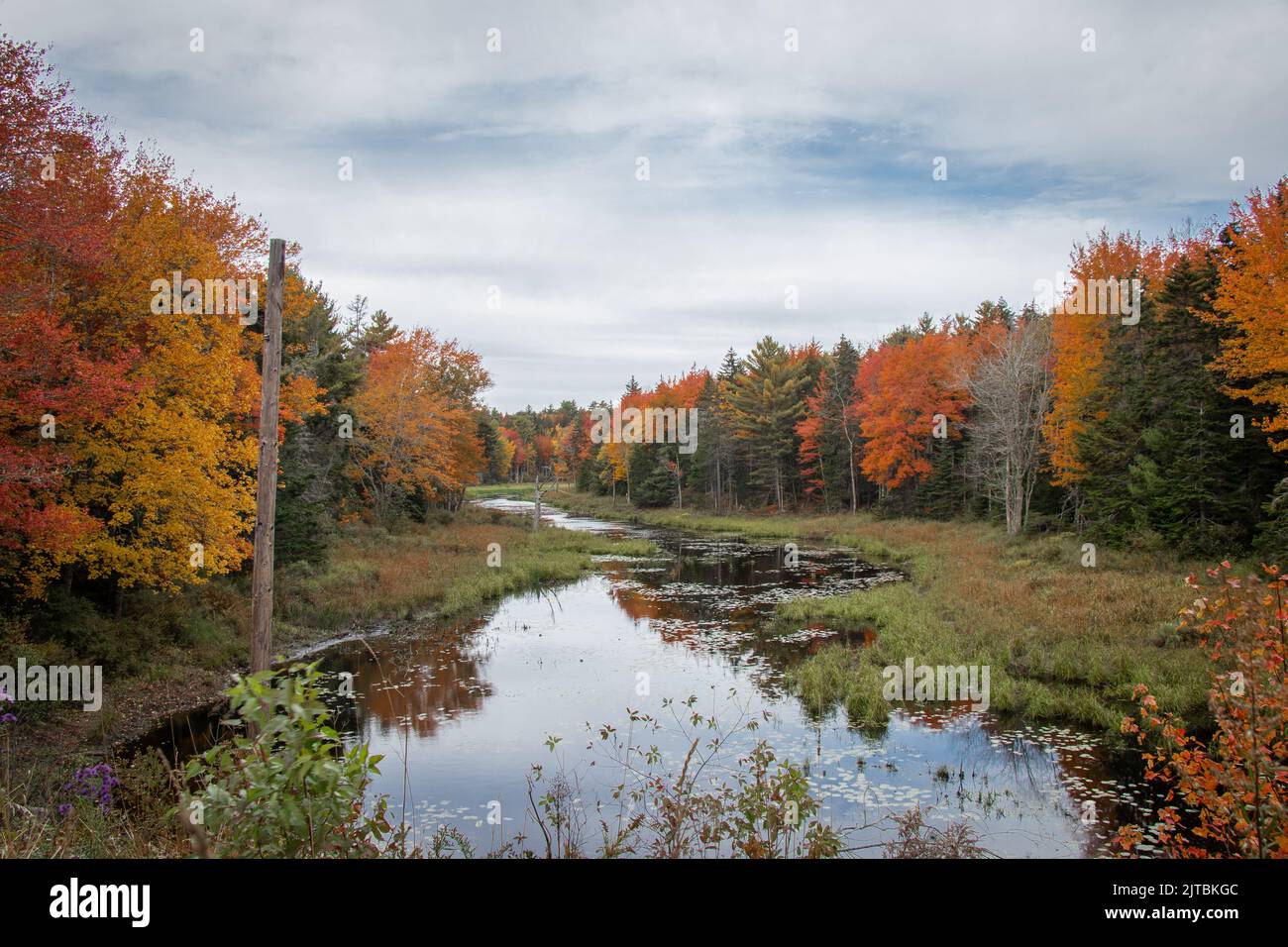 A salt marsh along the Maine coast in the fall Stock Photo - Alamy
