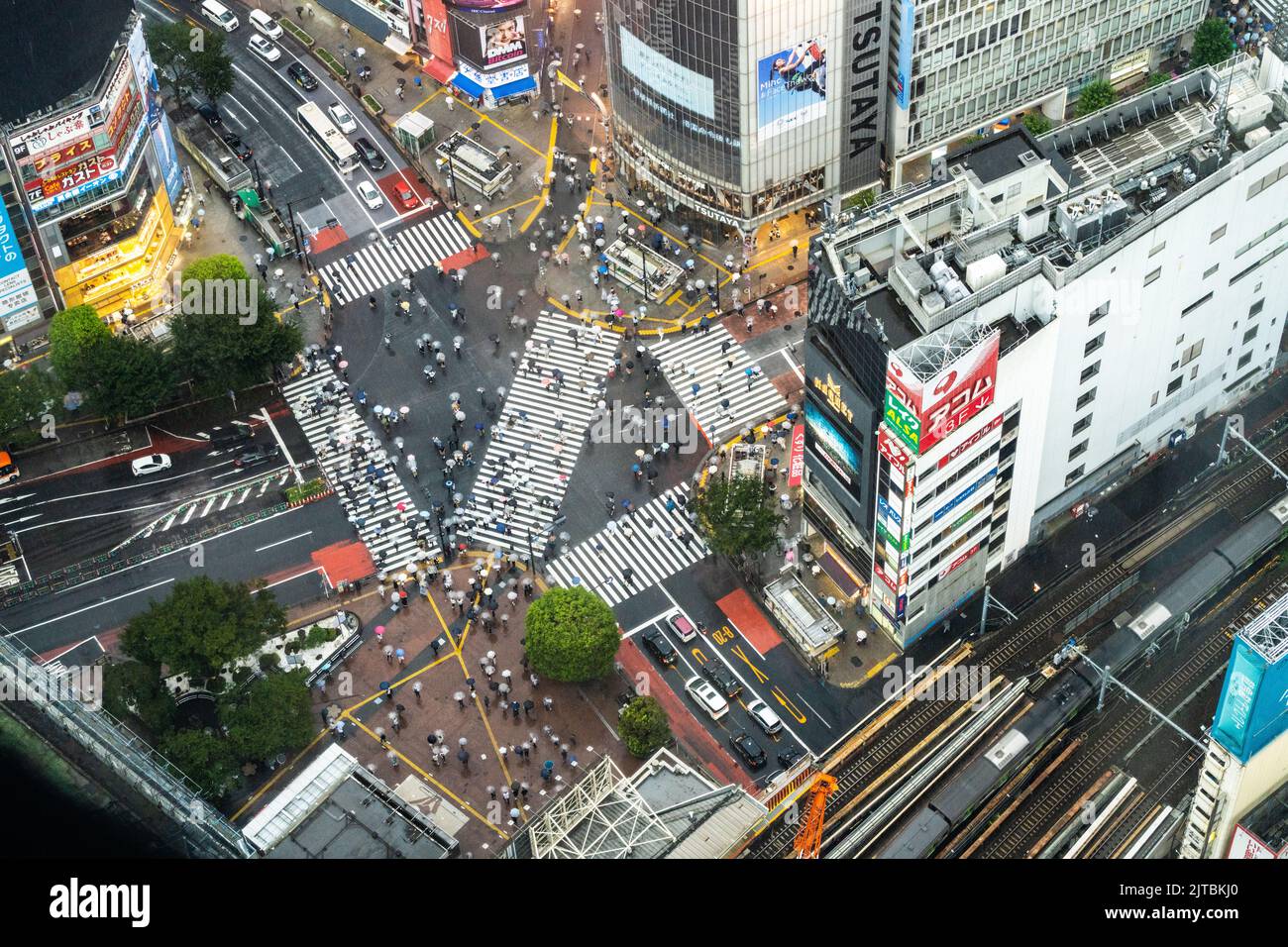 Pedestrians with umbrellas cross the multi-directional scramble ...