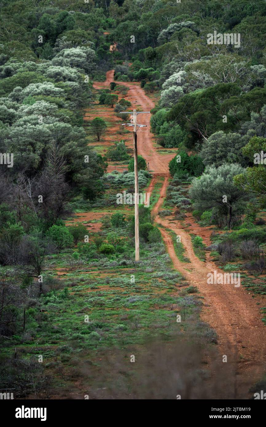 A vertical shot of a power pole next to a pathway surrounded with ...
