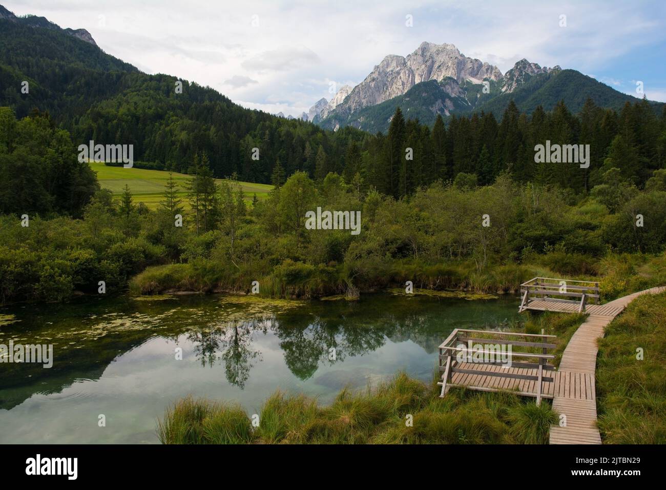 Observation platforms in Zelenci Nature Reserve near Kranjska Gora in ...