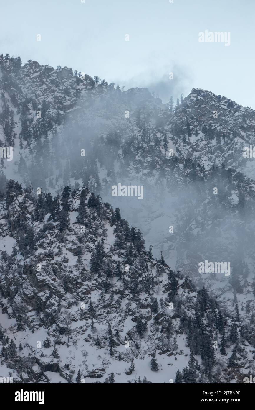 A vertical shot of mountains in Utah covered in conifers and late ...